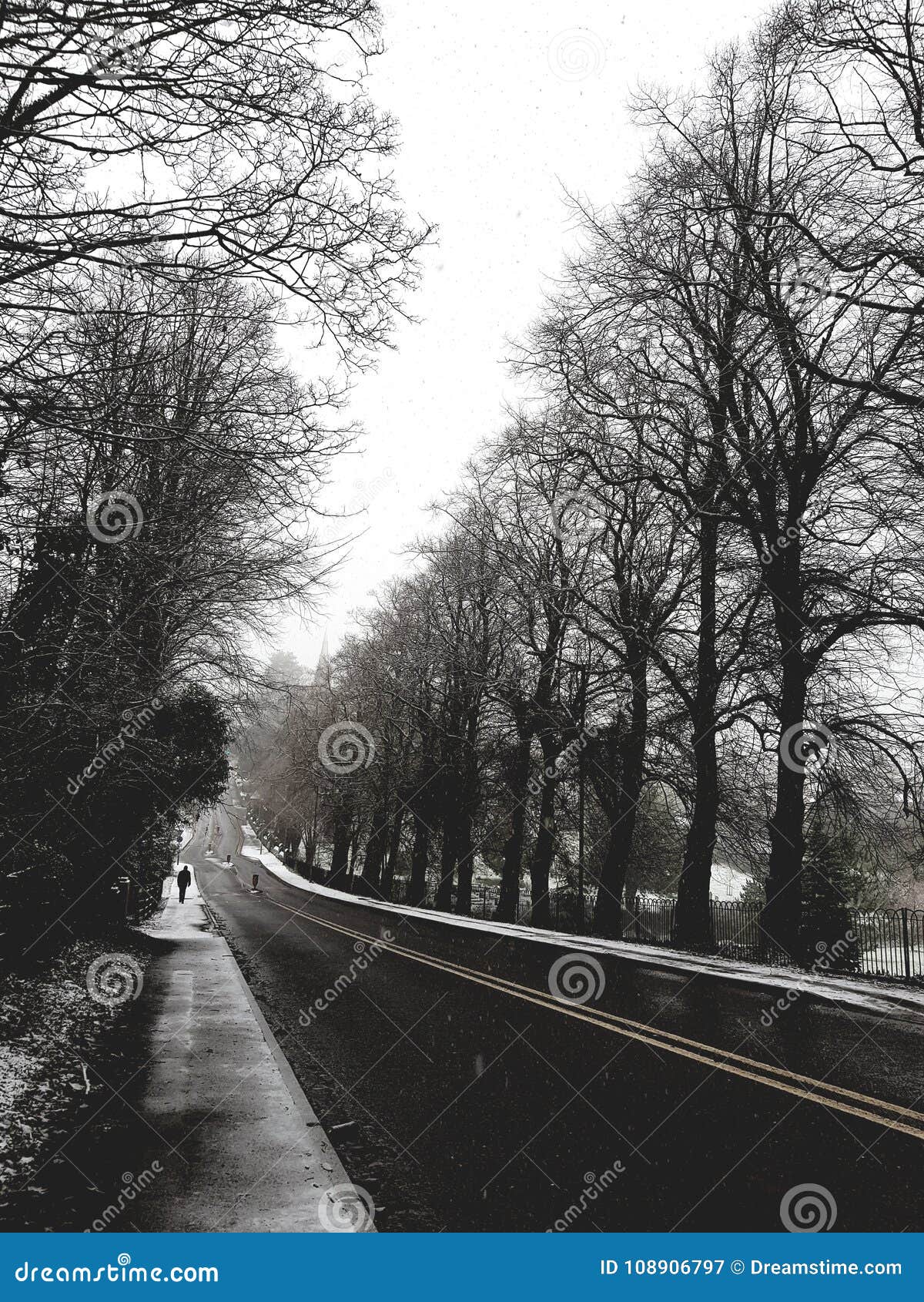 A Cold and Lonely Winter stock image. Image of frosty - 108906797