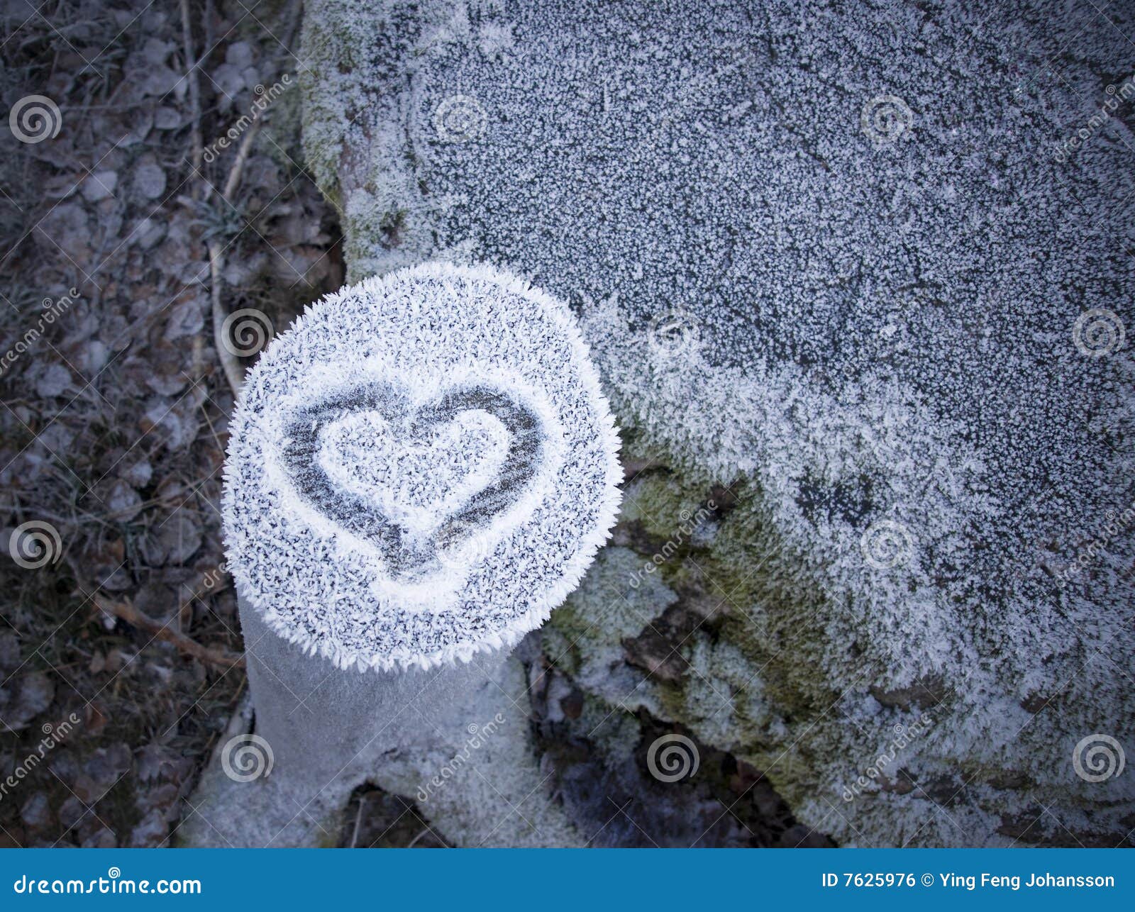 Cold love stock photo. Image of snow, snowy, wood, cold - 7625976
