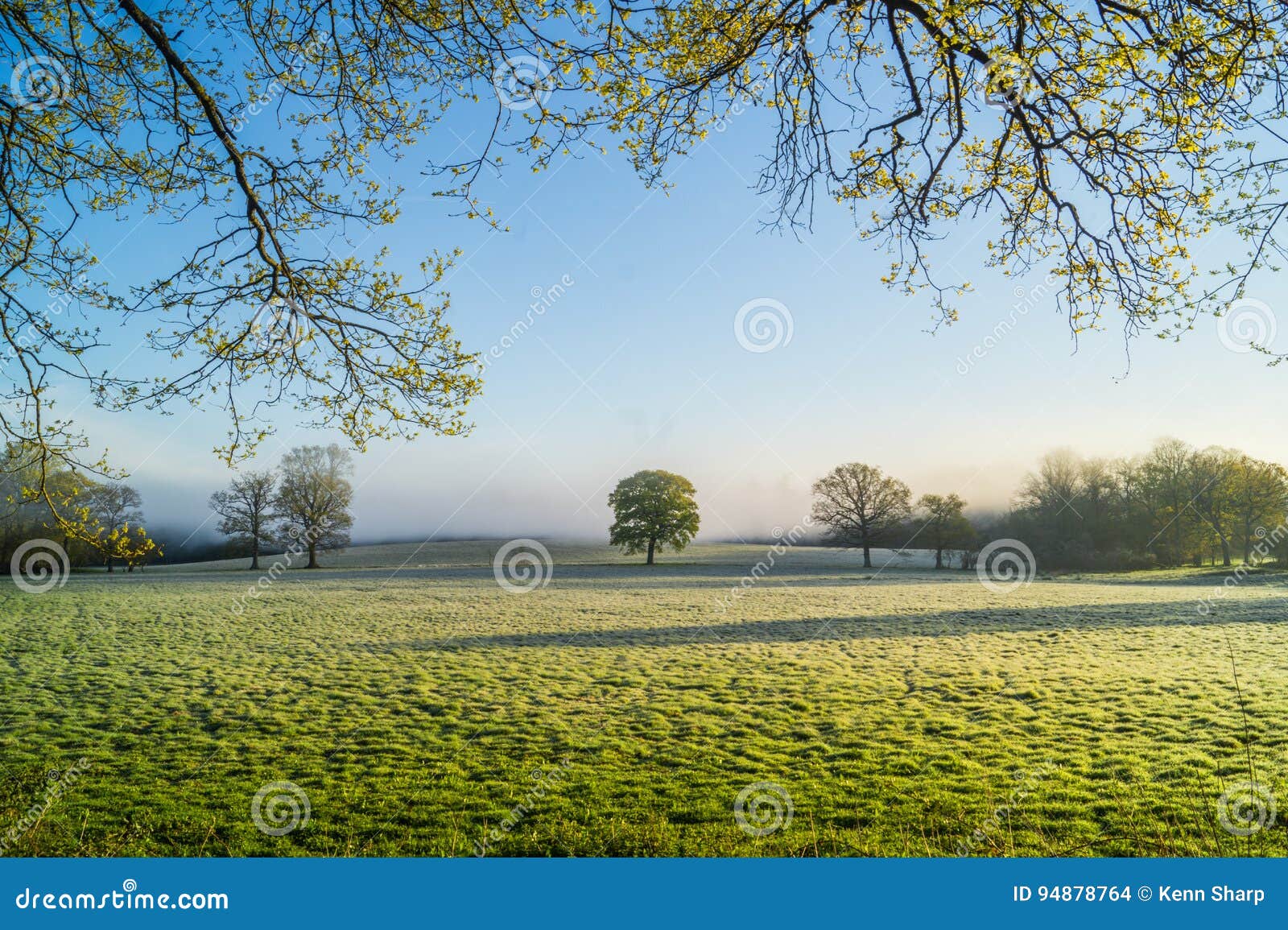 A Cold Misty Morning with a Bright Sky in Surrey Stock Photo - Image of ...