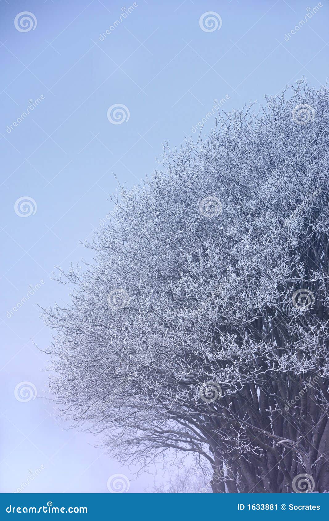 Cold morning stock image. Image of freeze, outdoors, black - 1633881