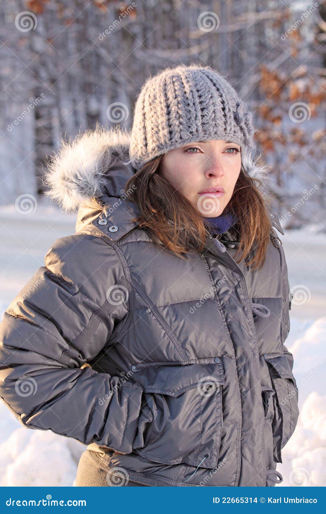 Cold morning stock photo. Image of morning, fashion, forest - 22665314