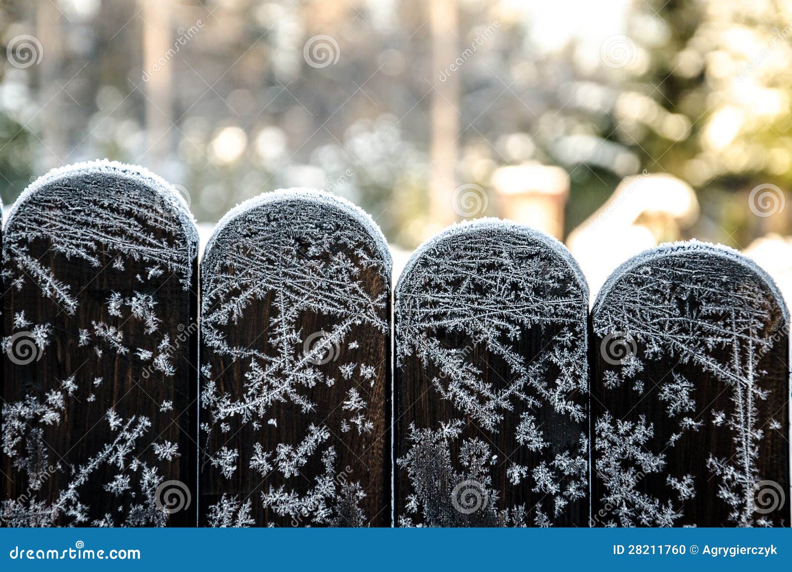 Cold morning stock photo. Image of morning, snowflakes - 28211760