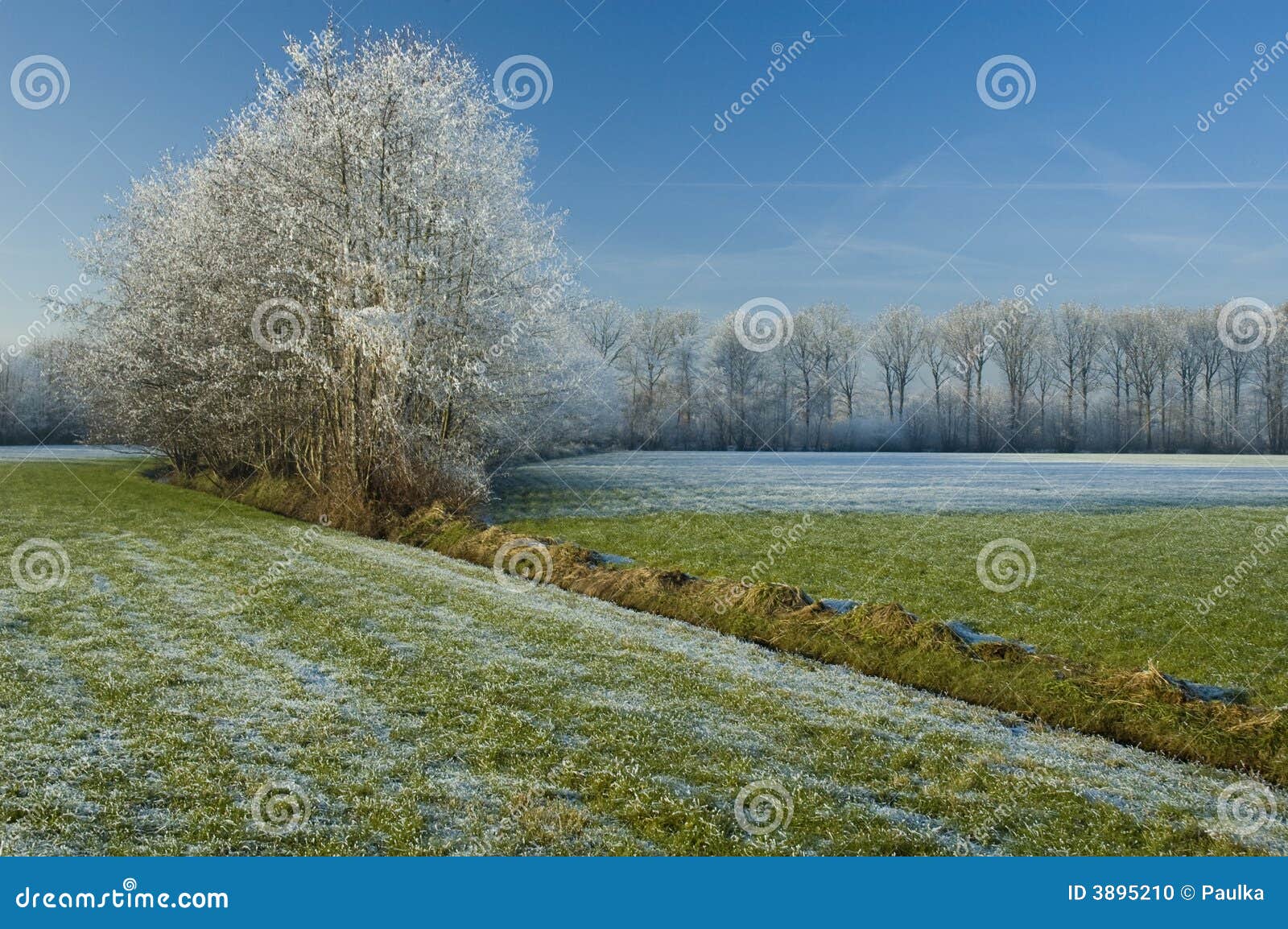 Cold morning stock photo. Image of grass, landscape, meadow - 3895210
