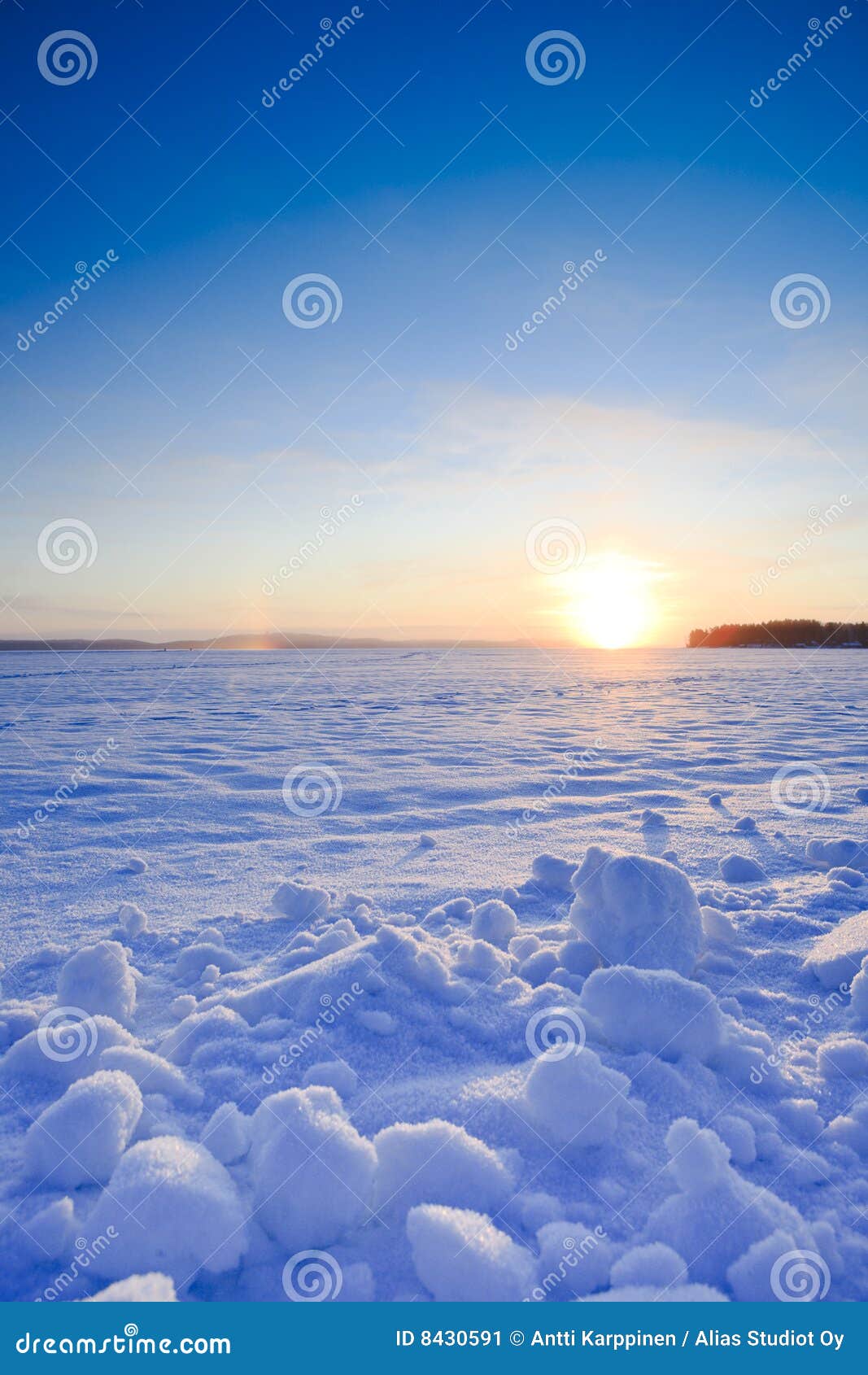 Cold morning stock image. Image of winter, snow, scenery - 8430591