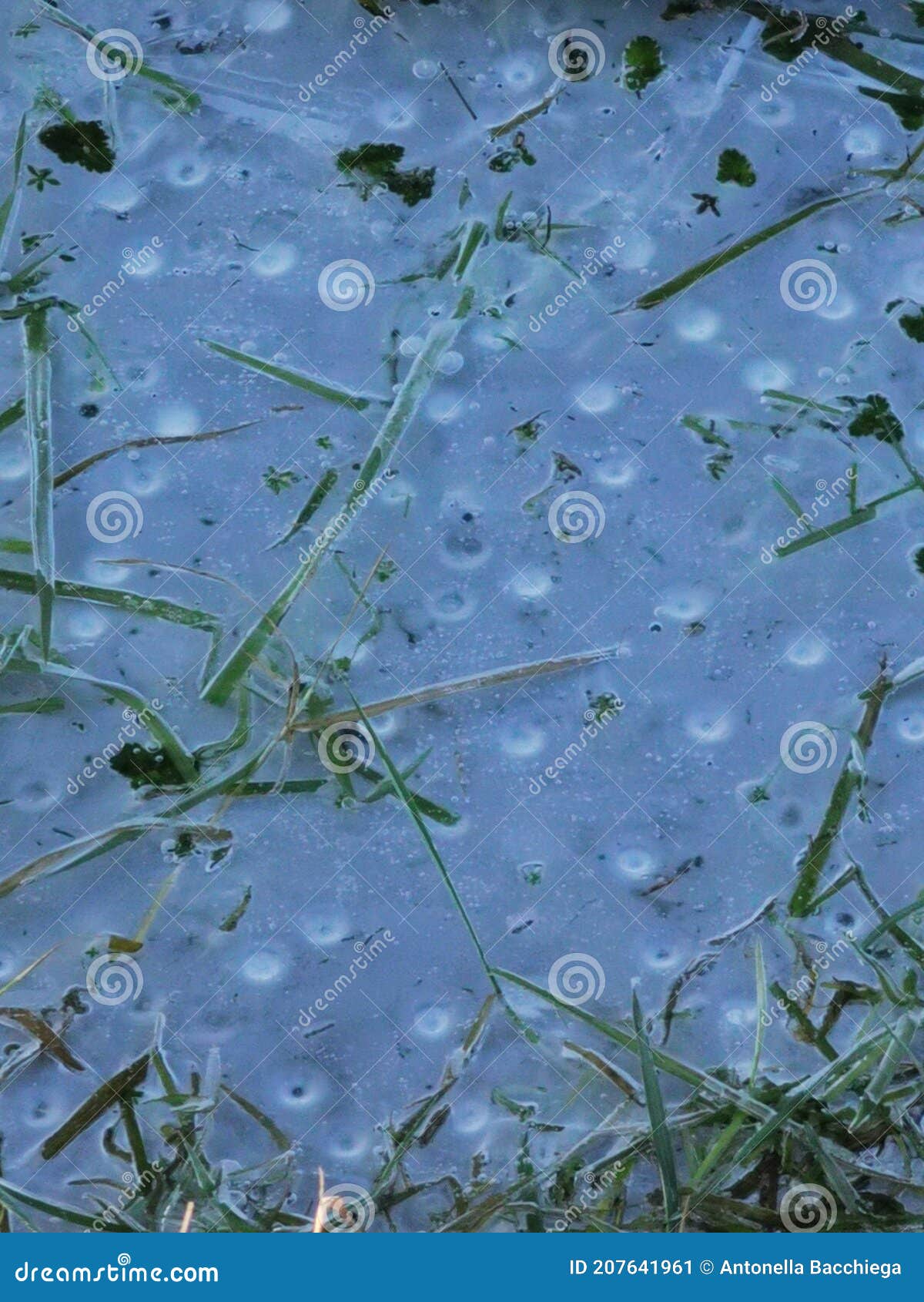 Ice Traps Stock Photos - Free & Royalty-Free Stock Photos from Dreamstime