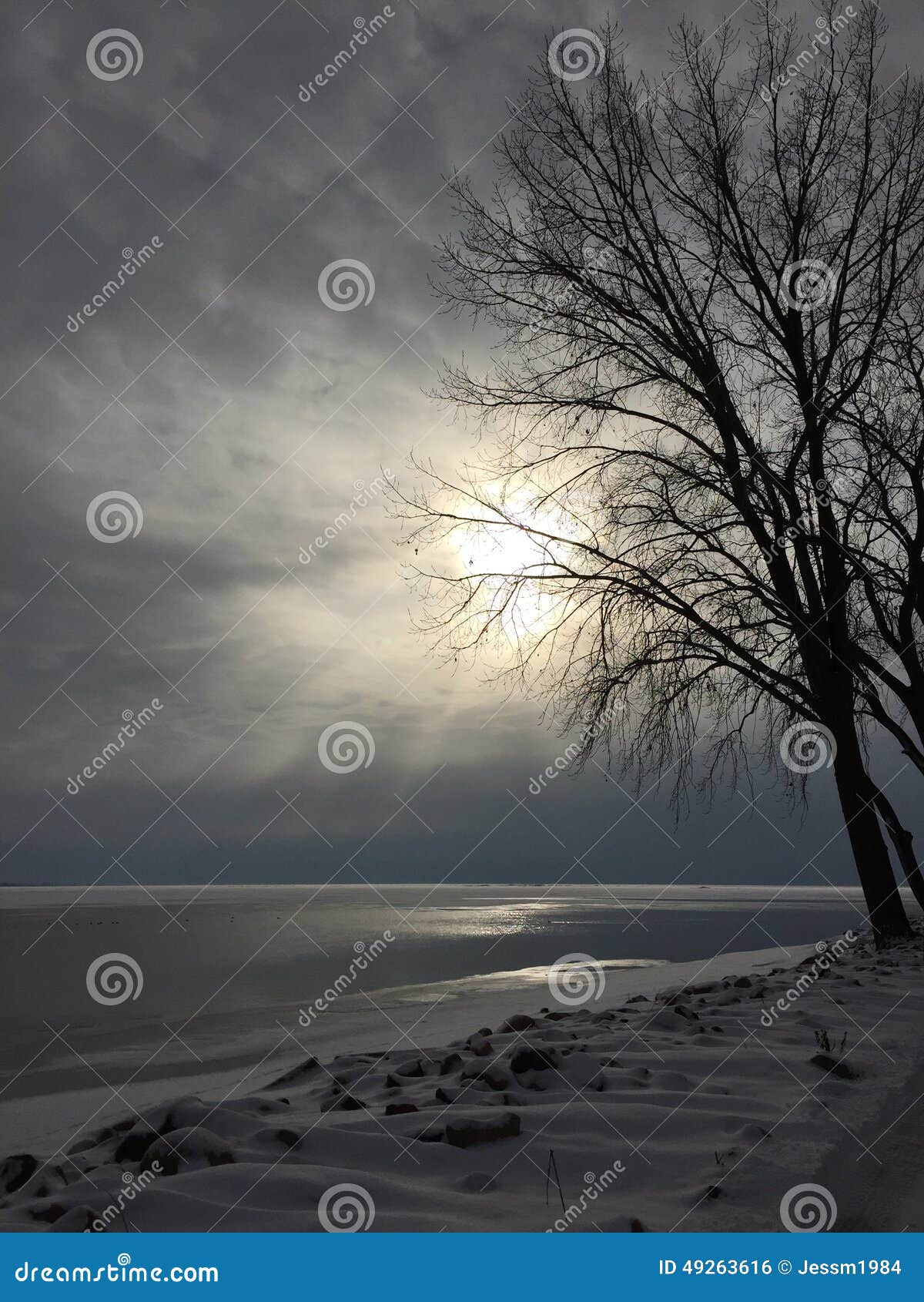 Cold morning stock photo. Image of winterlandscape, pretty - 49263616