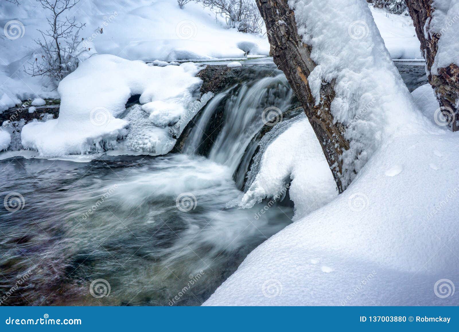 Forest Waterfalls and a Cold Spring Fed River Stock Photo - Image of ...