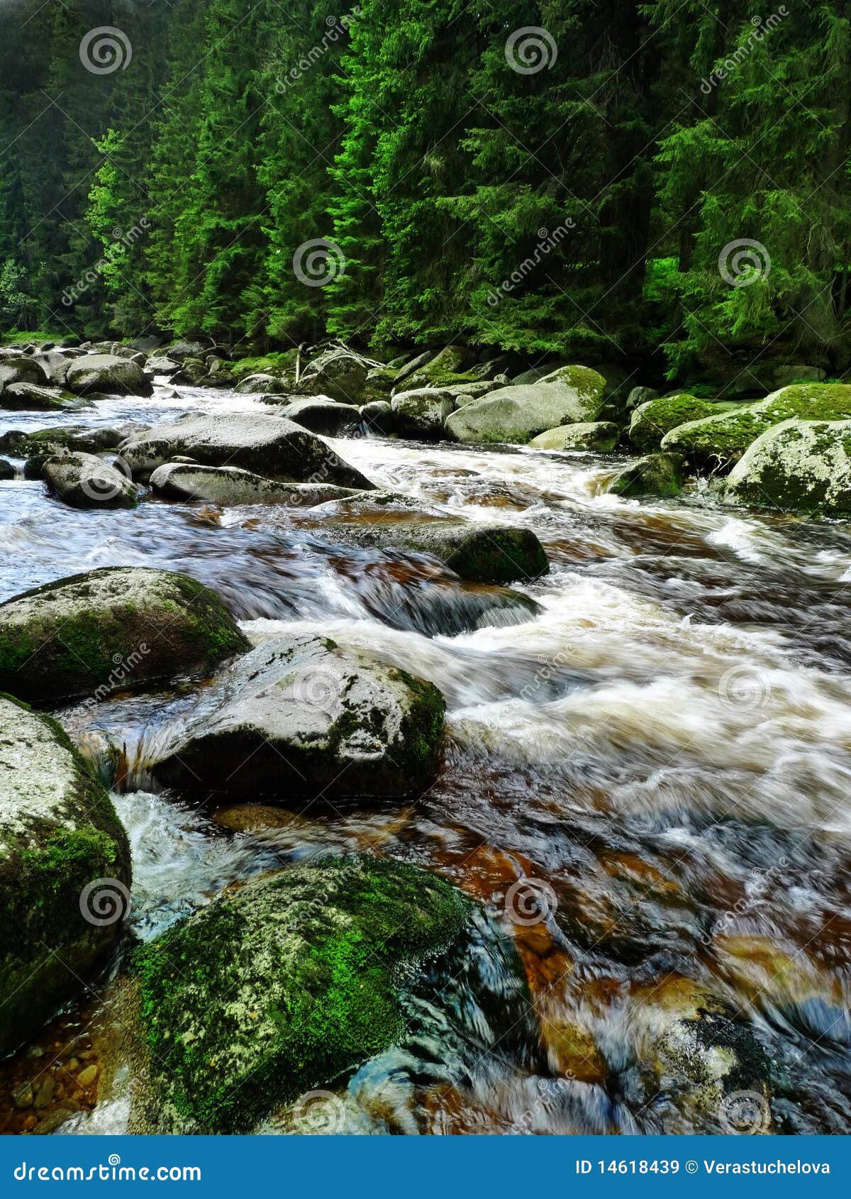 Cold Mountain River with Big Stones Stock Image - Image of rocks, green ...