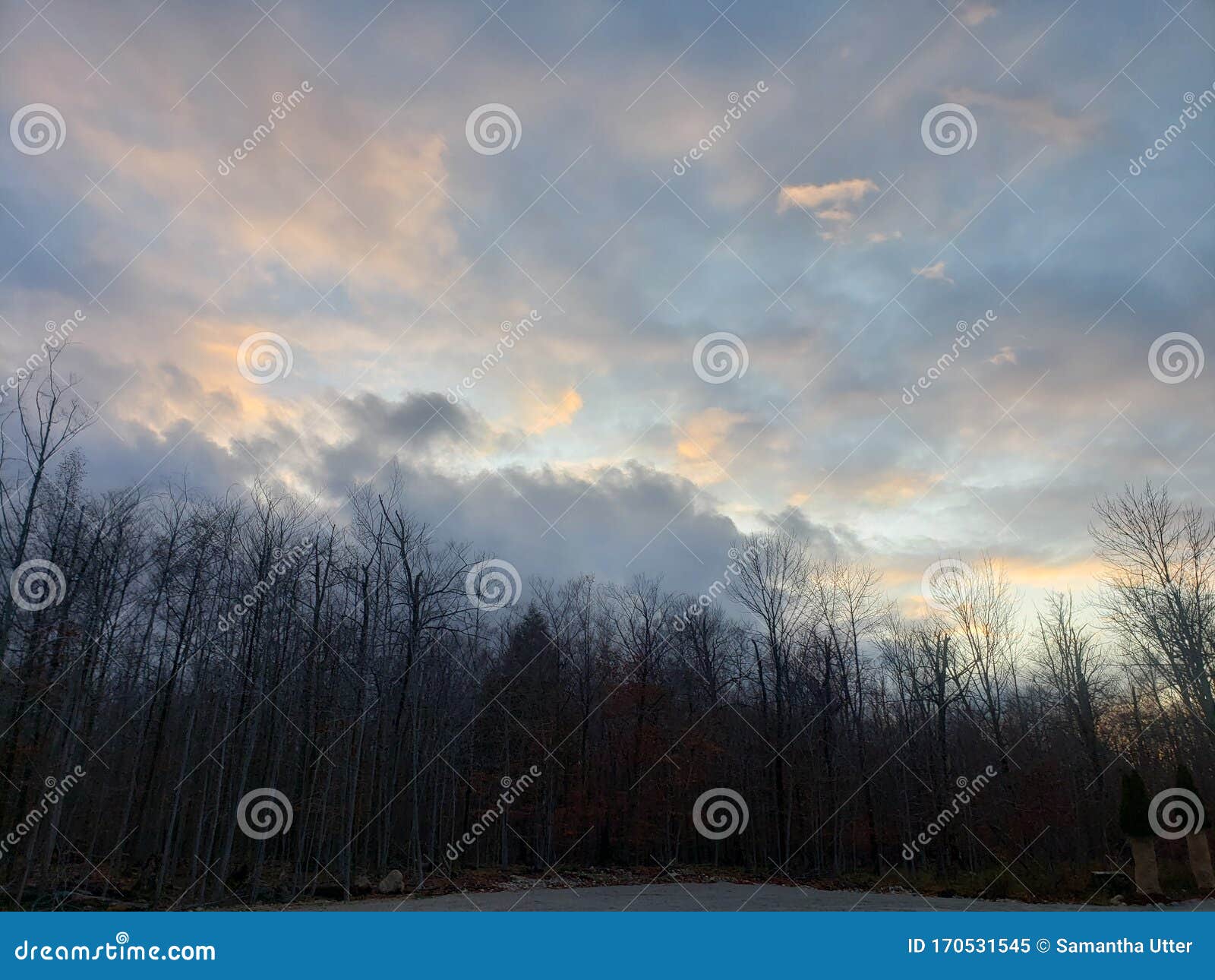 Cold November Sunset stock image. Image of fall, autumn - 170531545