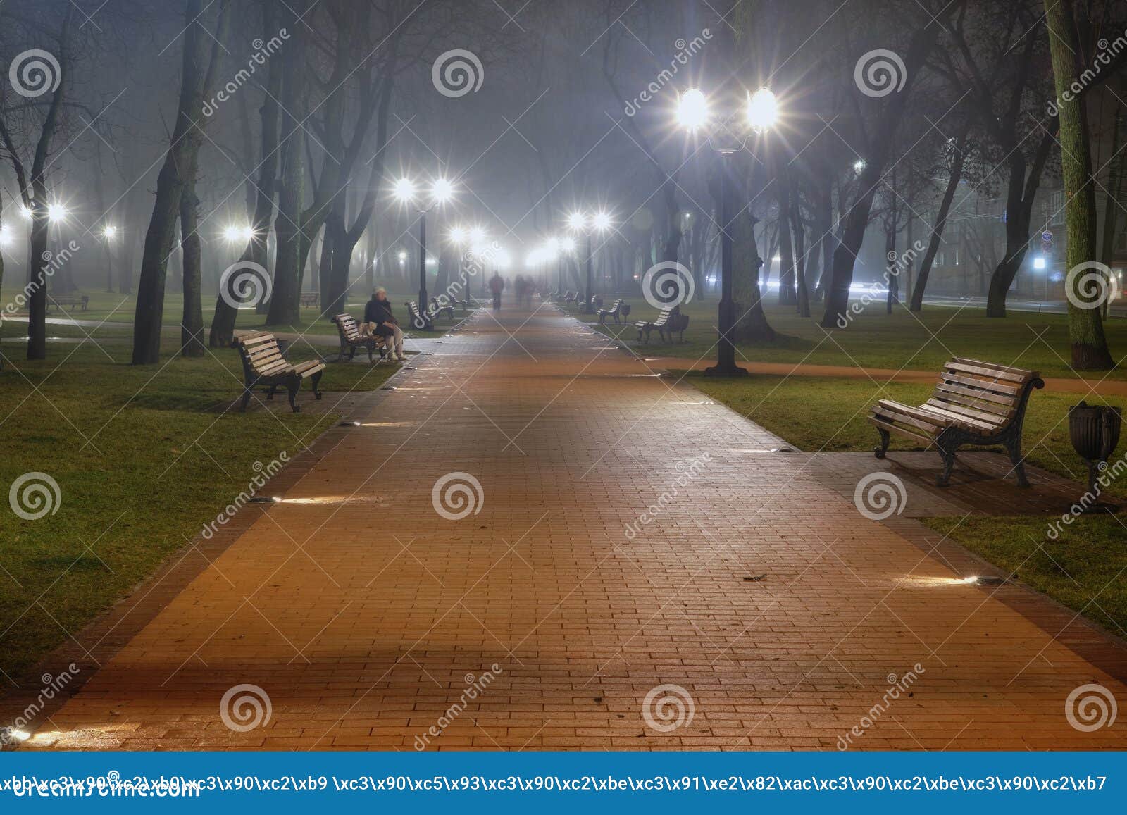 The cold park in the night stock photo. Image of lane - 236741960