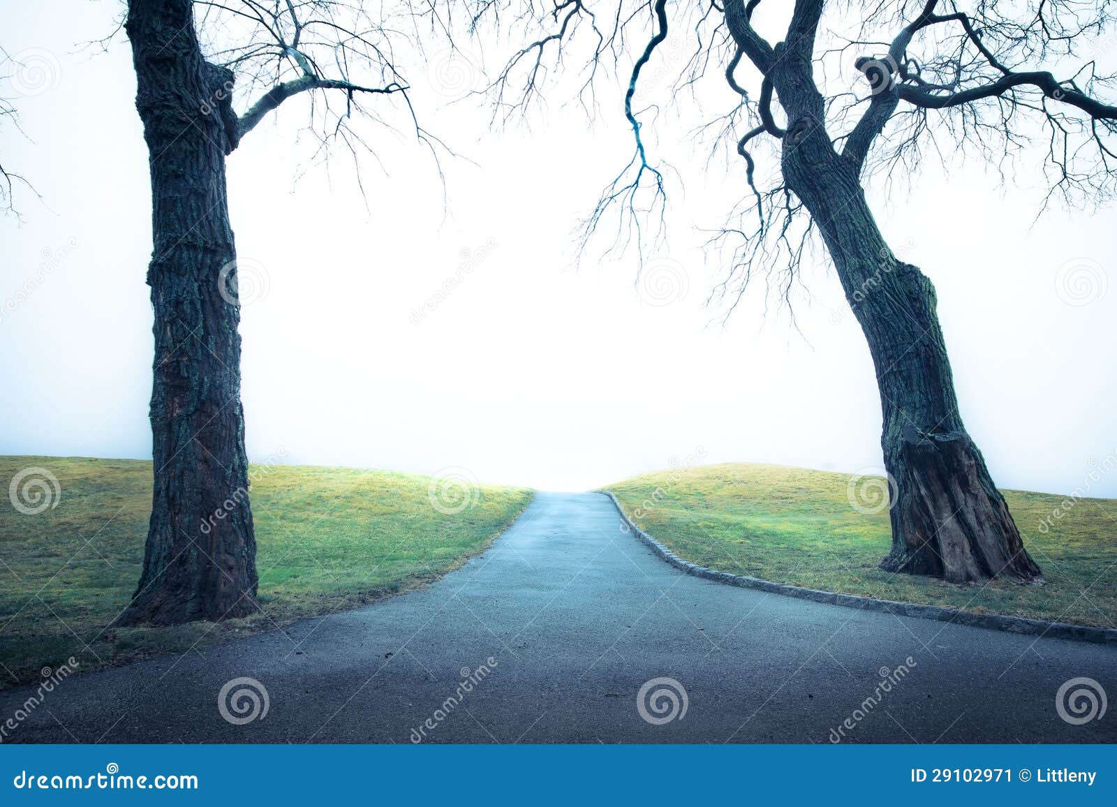 Cold Path with Trees stock image. Image of journey, atmosphere - 29102971