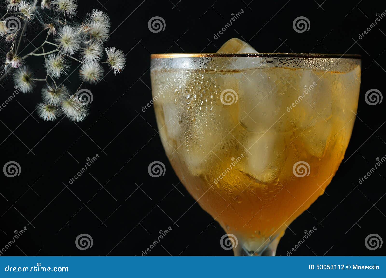 Cold plum juice stock photo. Image of water, fruity, decoration - 53053112