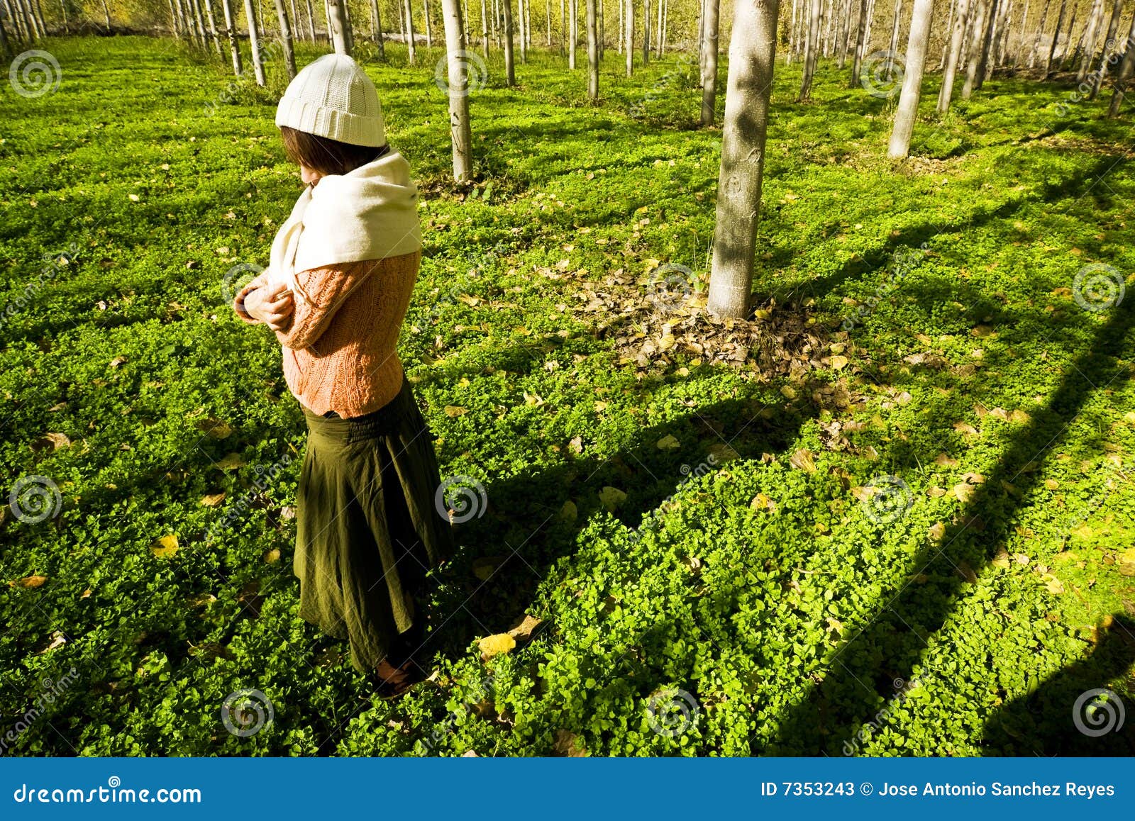 Cold portrait stock image. Image of gorgeous, rural, landscape - 7353243