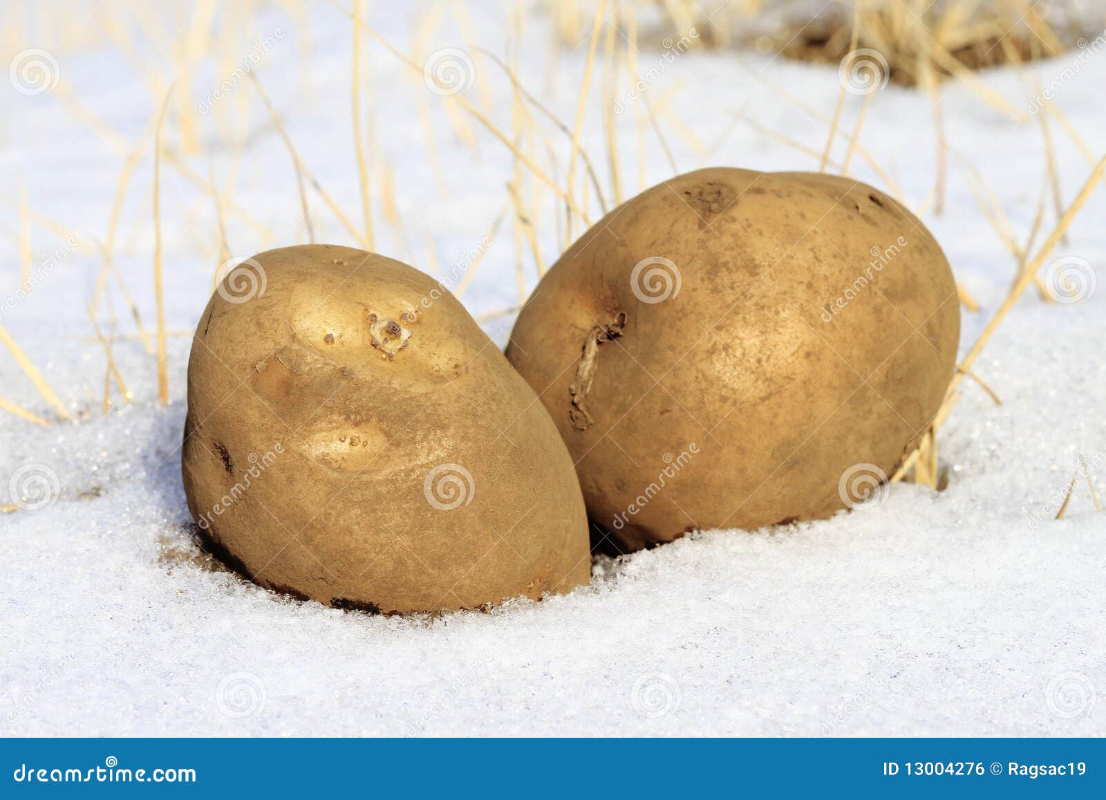 Cold potato stock photo. Image of cool, consumerism, cash - 13004276