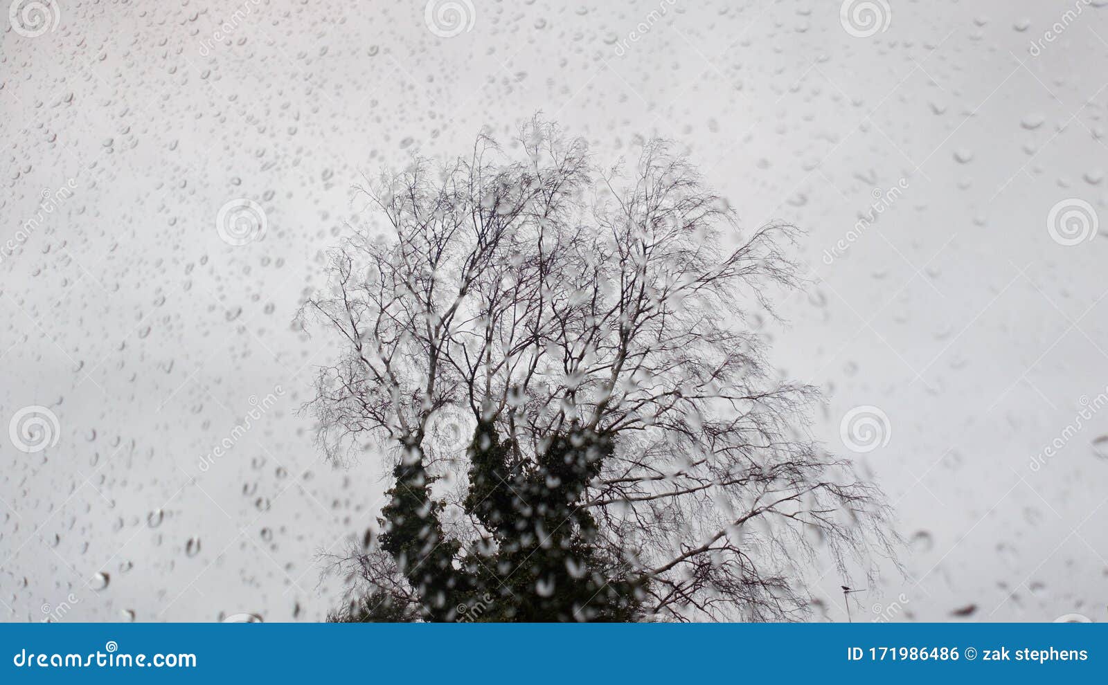 Cold rain Stormy today stock photo. Image of today, stormy - 171986486