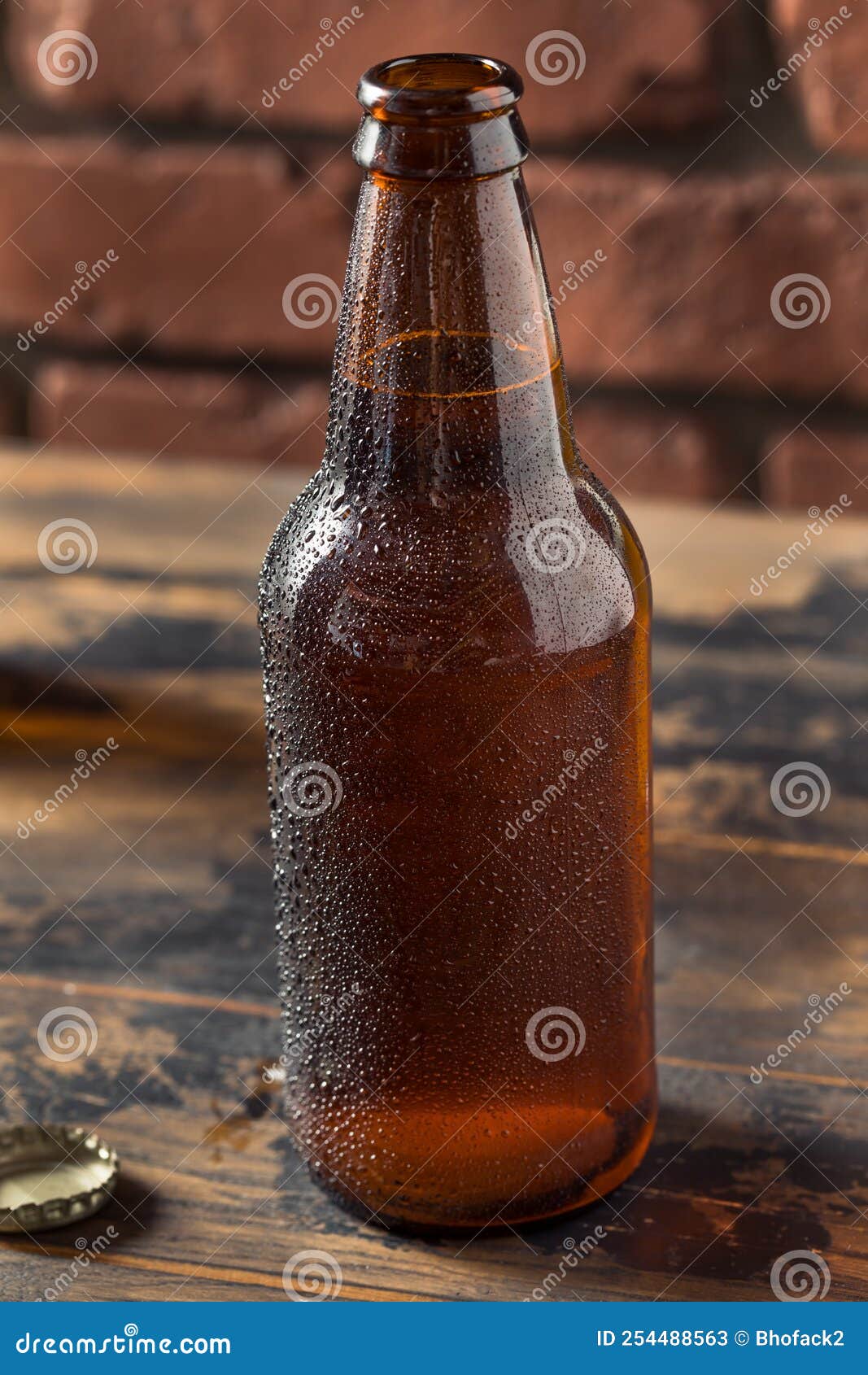 Cold Refreshing Craft Beer in a Bottle Stock Image - Image of cold ...