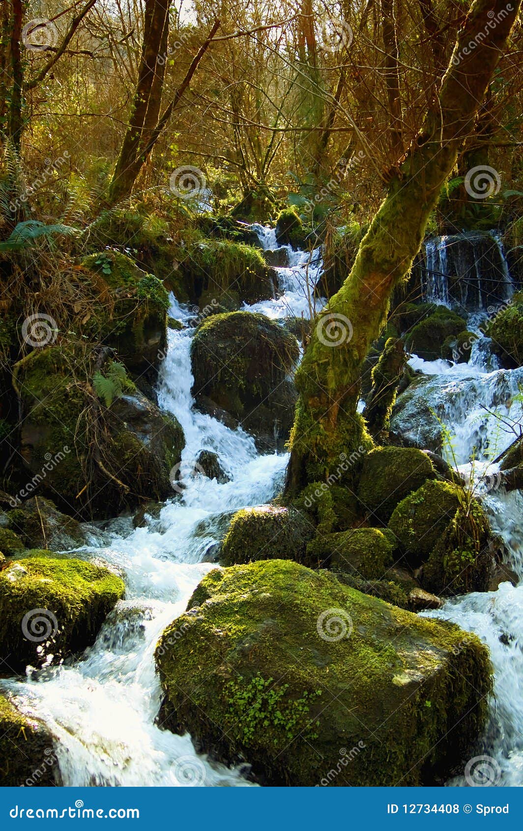 Cold river stock photo. Image of water, winter, cold - 12734408