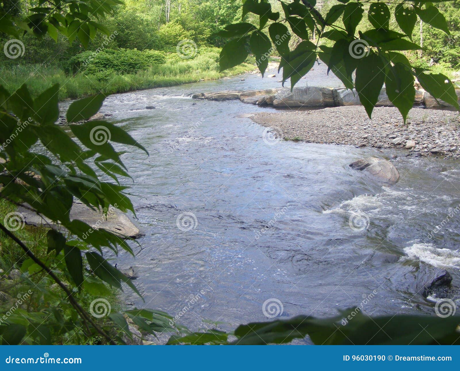 Cold river stock photo. Image of green, cold, water, nature - 96030190
