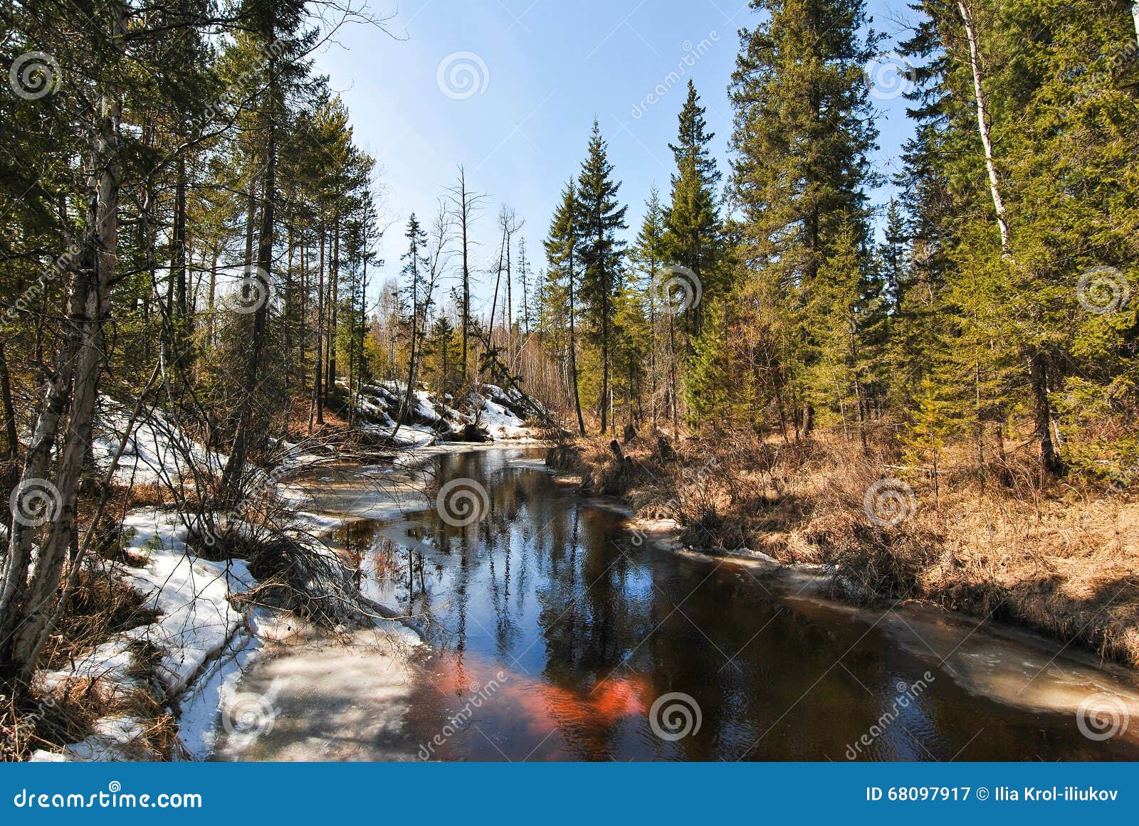 Cold river in taiga stock image. Image of stream, backgrounds - 68097917