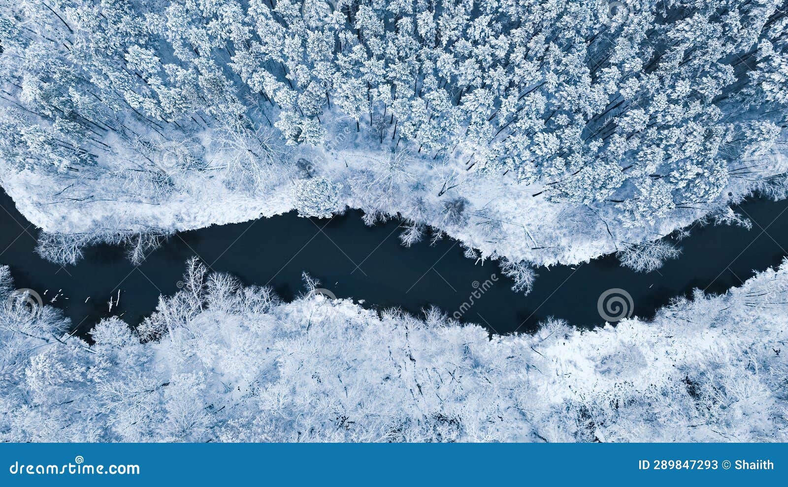 Cold River and White Forest. Trees are Covered with Snow Stock Image ...