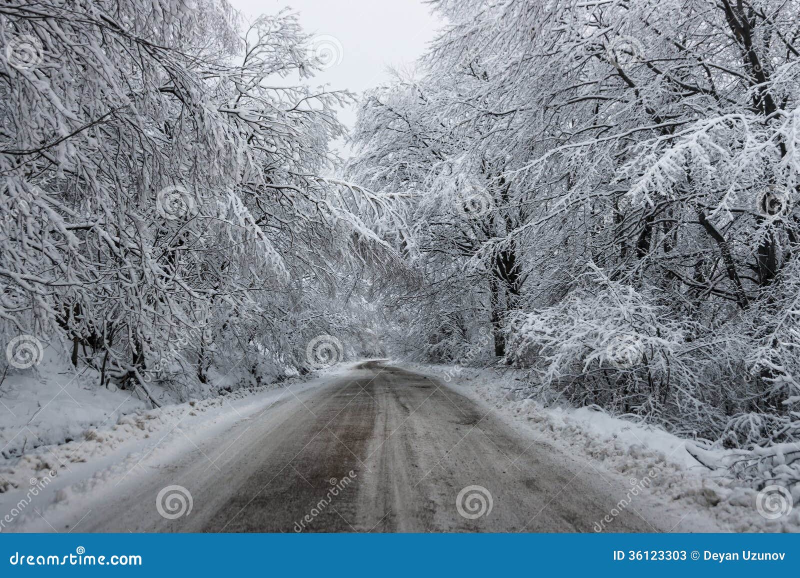 Cold Road stock image. Image of travel, trip, trees, road - 36123303