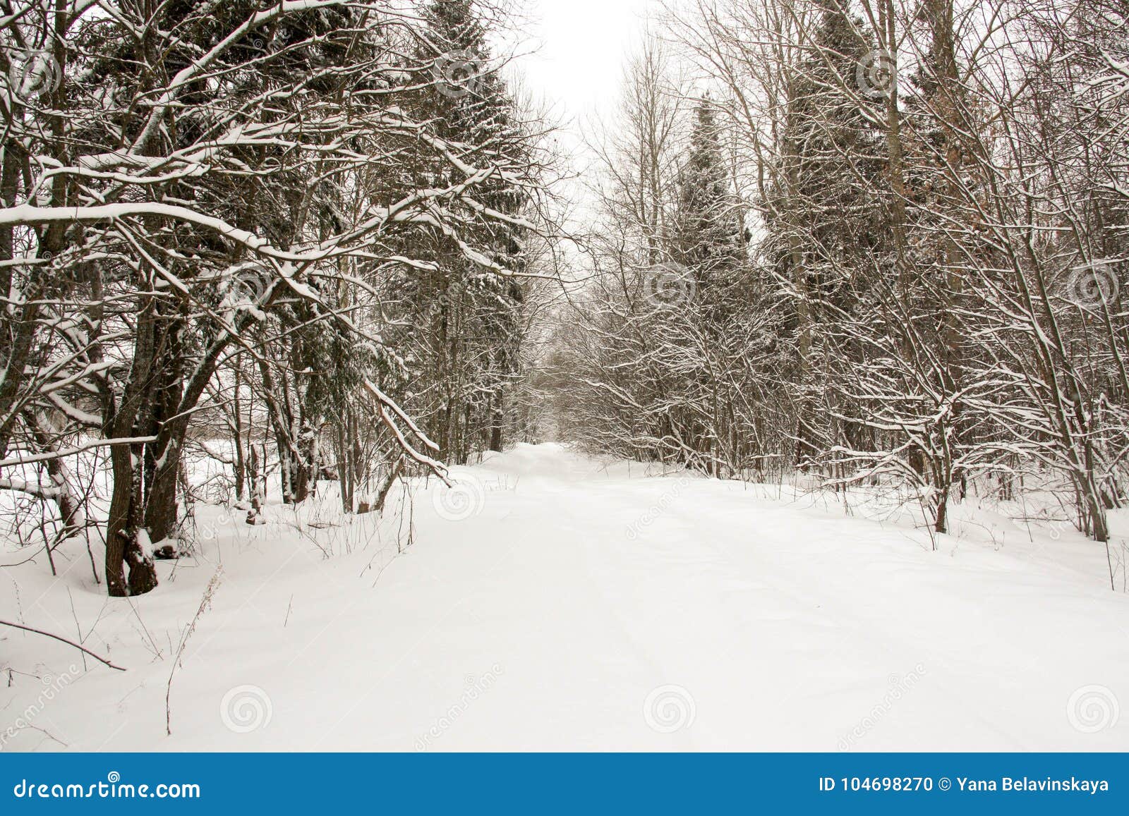 Heavy Snow in Moscow during Winter Stock Photo - Image of moscow ...