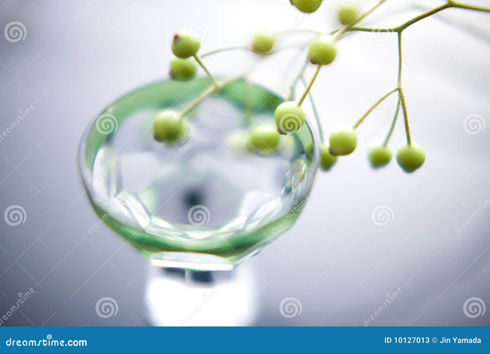 Cold sake stock image. Image of rosa, multiflora, sake - 10127013