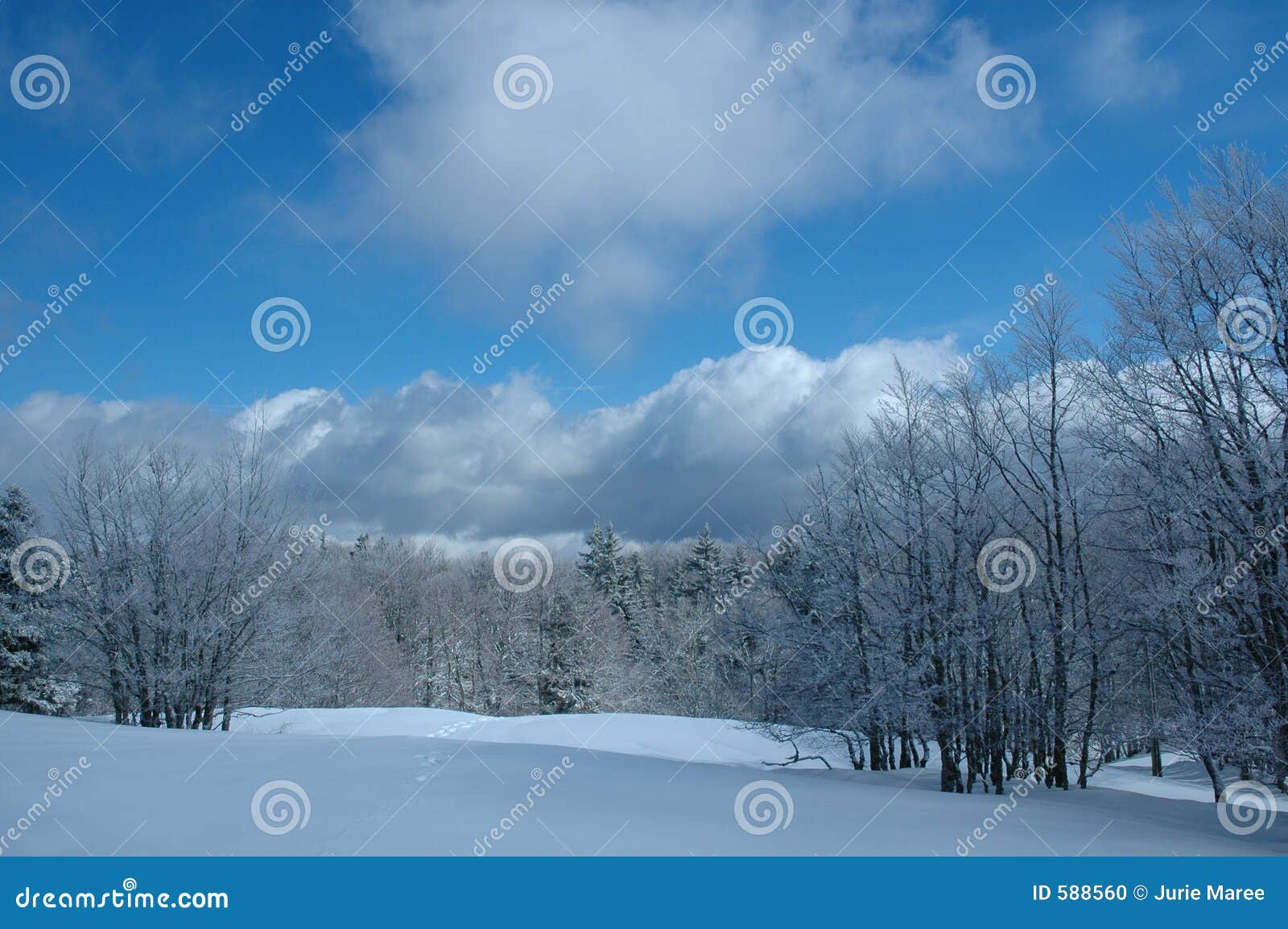 Cold Scene. stock photo. Image of lyon, blue, scene, mountain - 588560