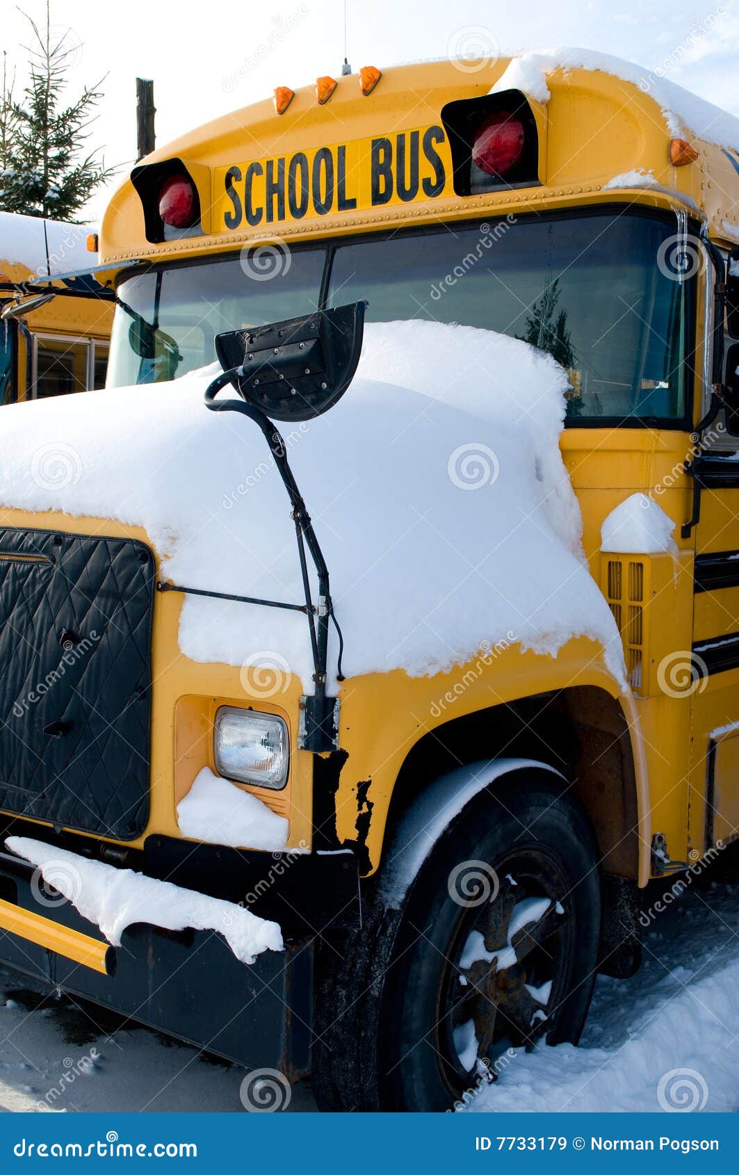Cold School Bus stock image. Image of parked, snow, yellow - 7733179