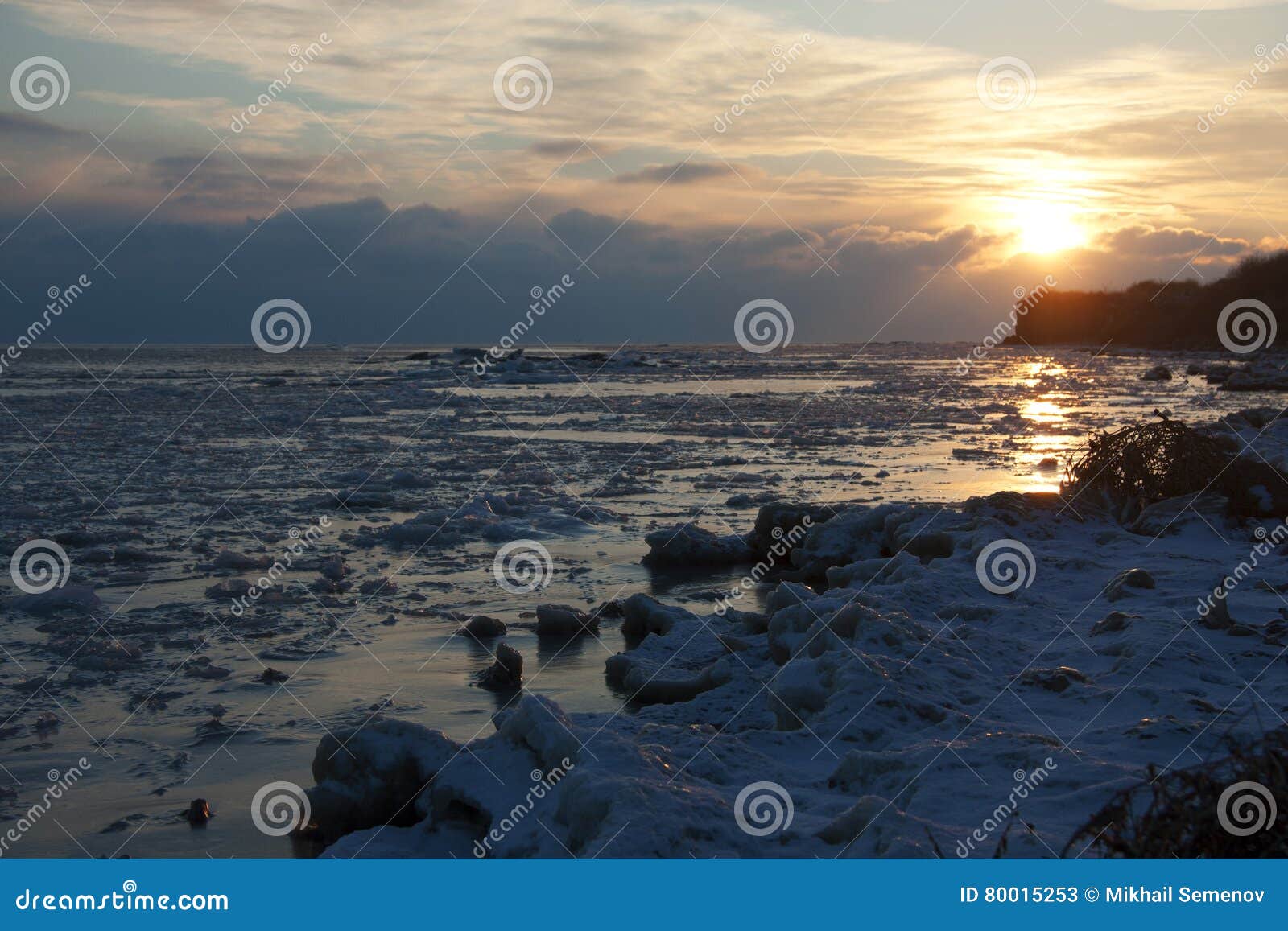Cold sea stock image. Image of snow, cold, fish, frost - 80015253