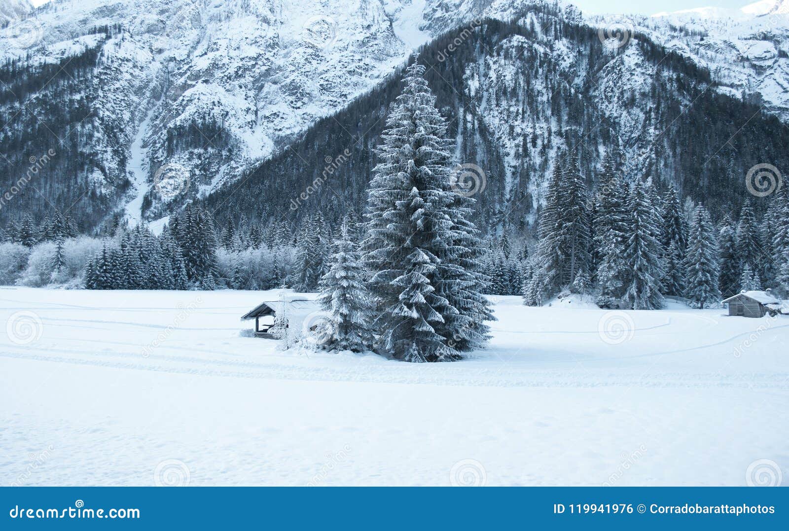 Cold in the Shadow of the Mountains Stock Photo - Image of landscape ...