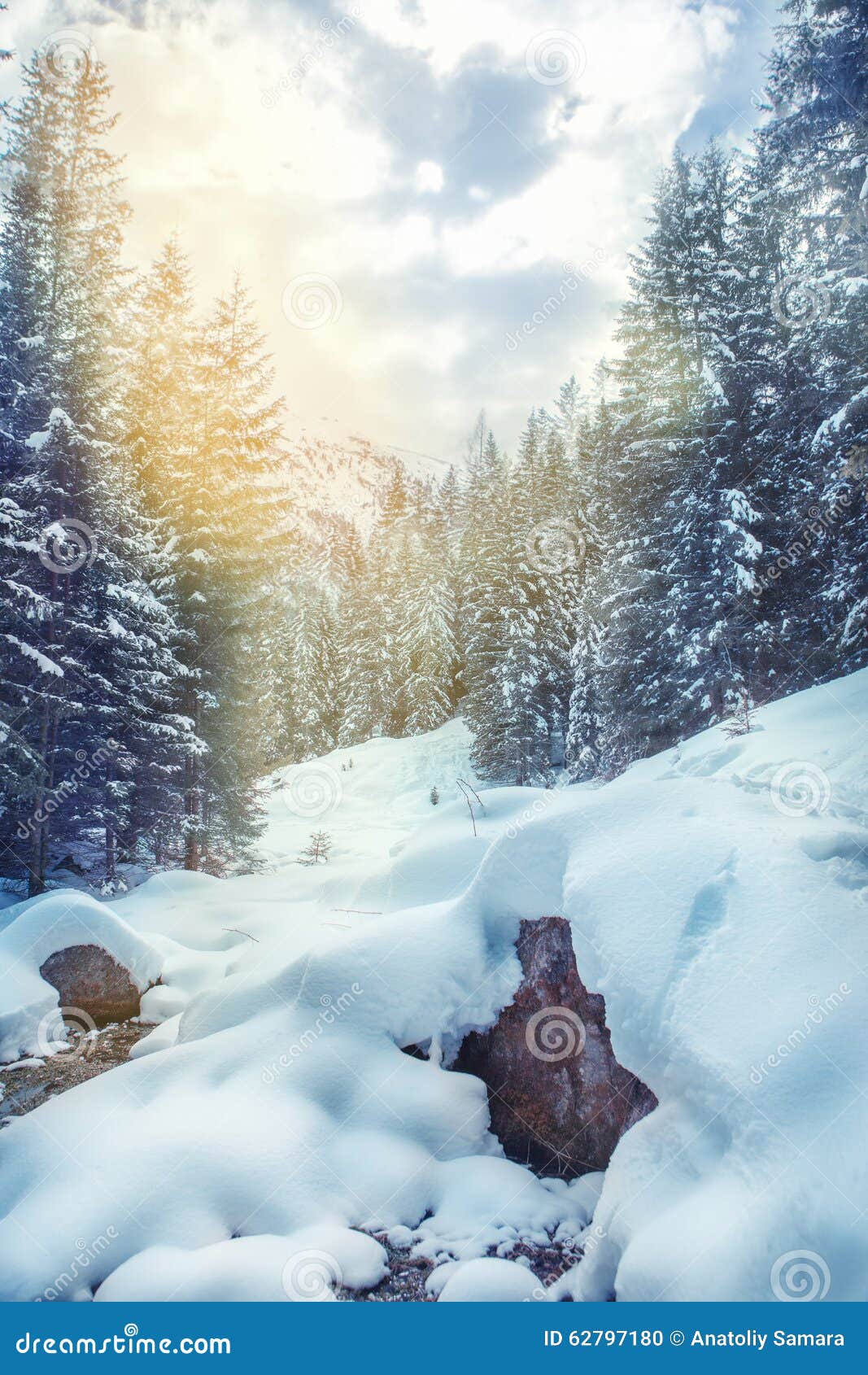 Cold snowy day stock photo. Image of interior, mountain - 62797180