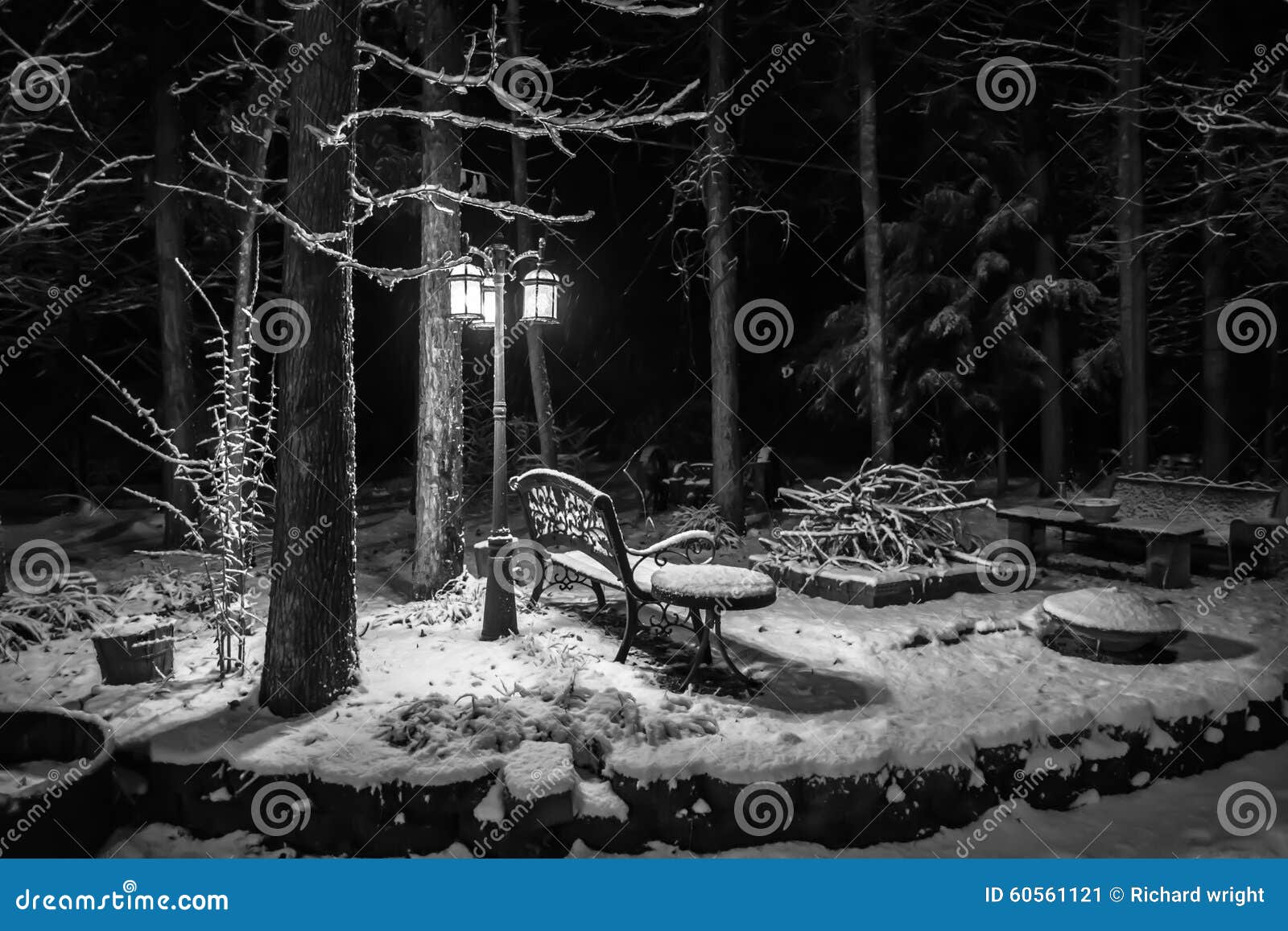 Cold snowy night stock image. Image of snowy, night, winter - 60561121