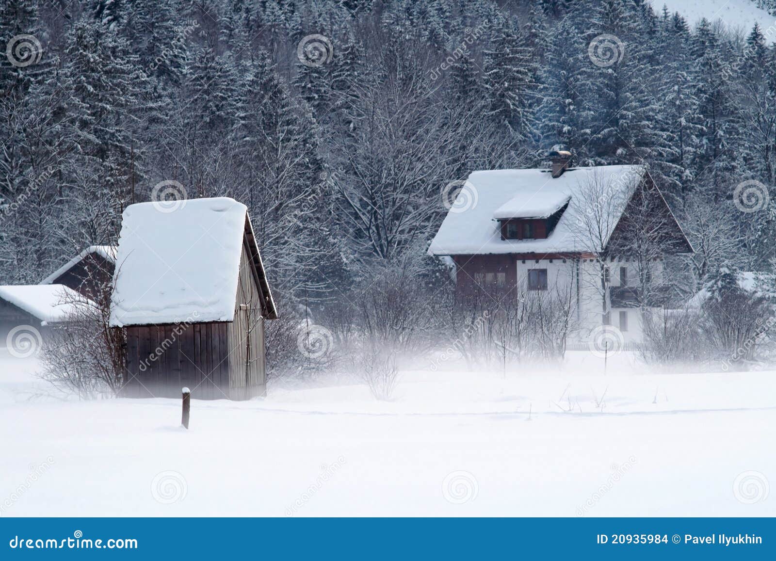 Cold and Snowy Winter in Mountain Austria Stock Photo - Image of foggy ...