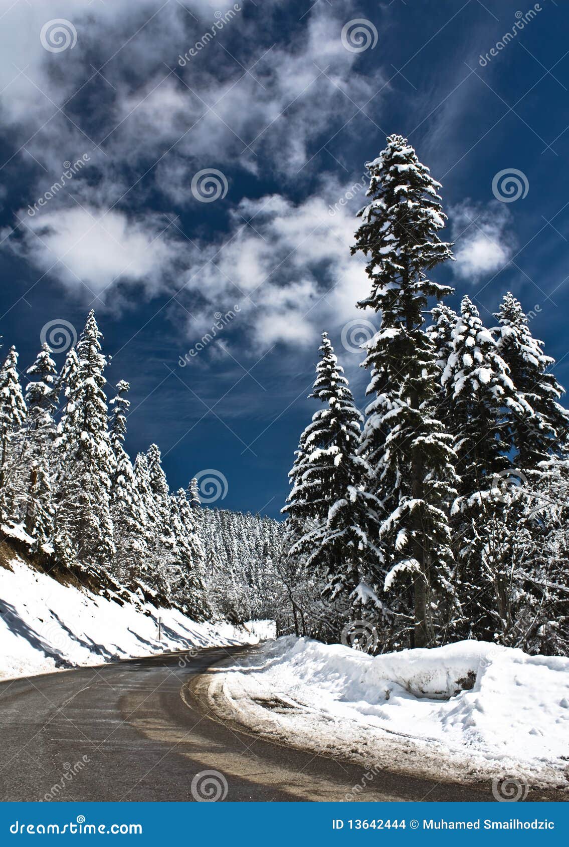 Cold and snowy winter road stock photo. Image of road - 13642444