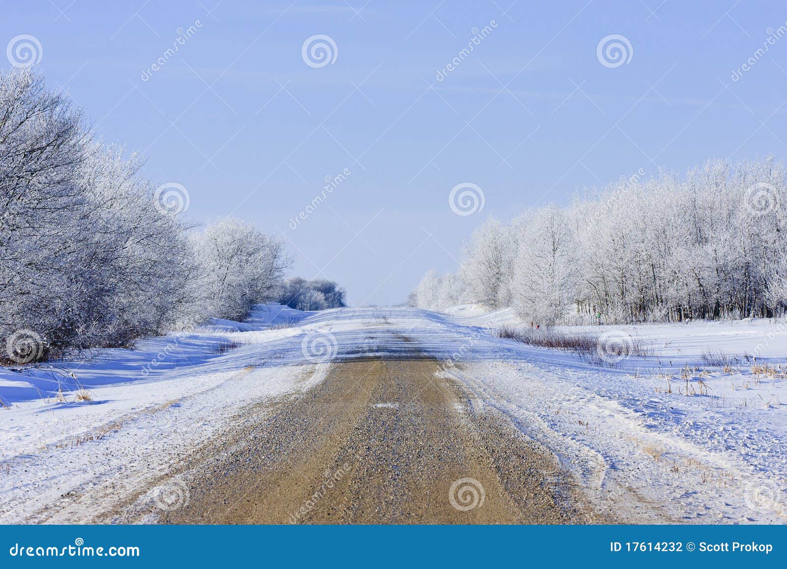 Cold Snowy Winter Road stock photo. Image of transportation - 17614232