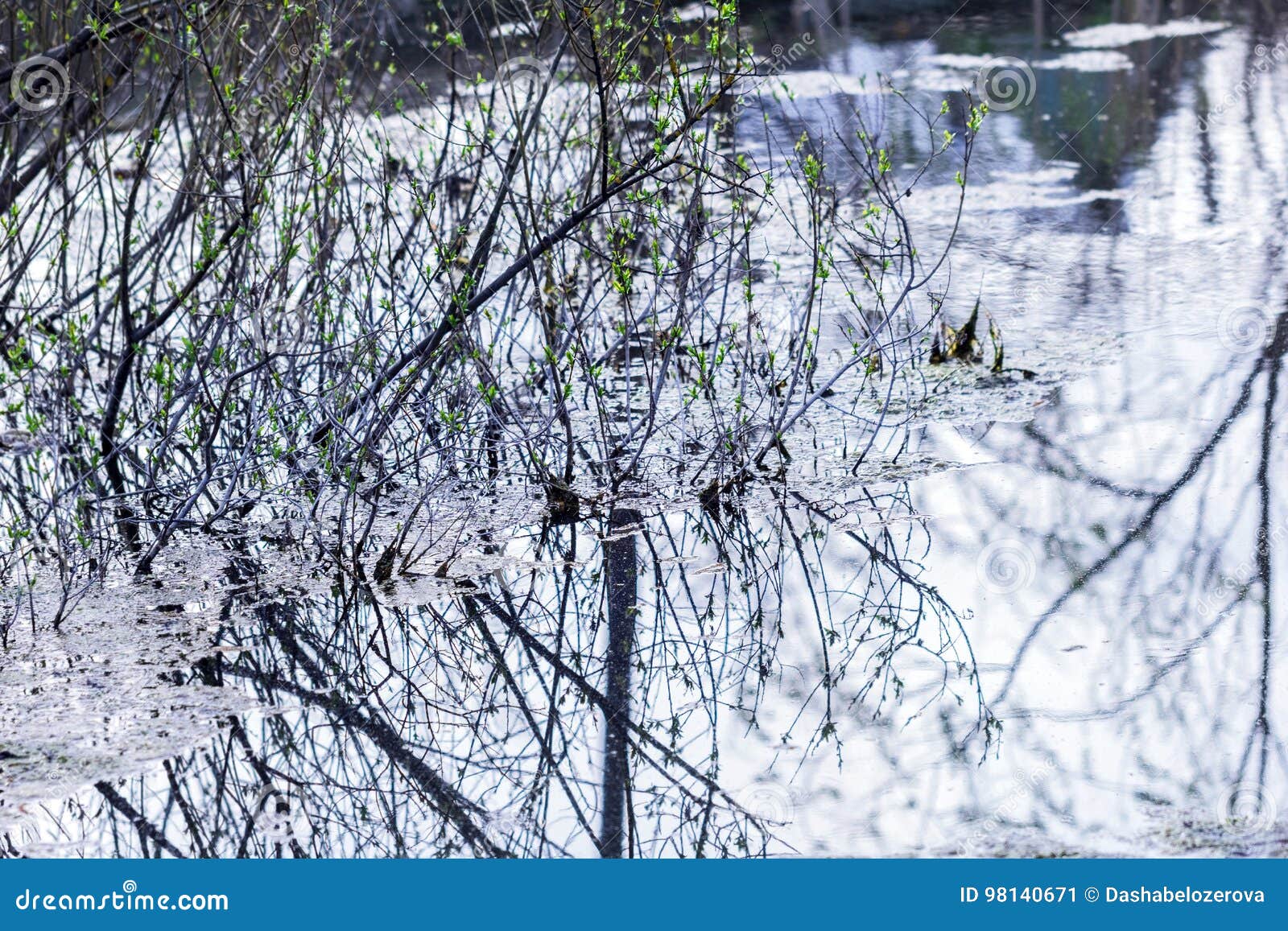 Cold spring water in river stock image. Image of water - 98140671