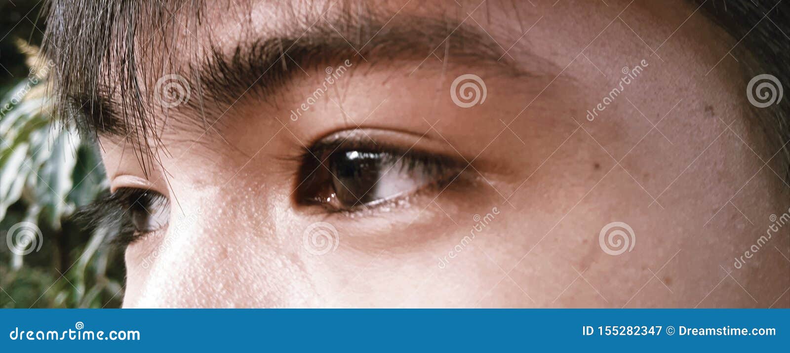 Cold Stare with Pure Brown Eyes Stock Image - Image of brown, cold ...