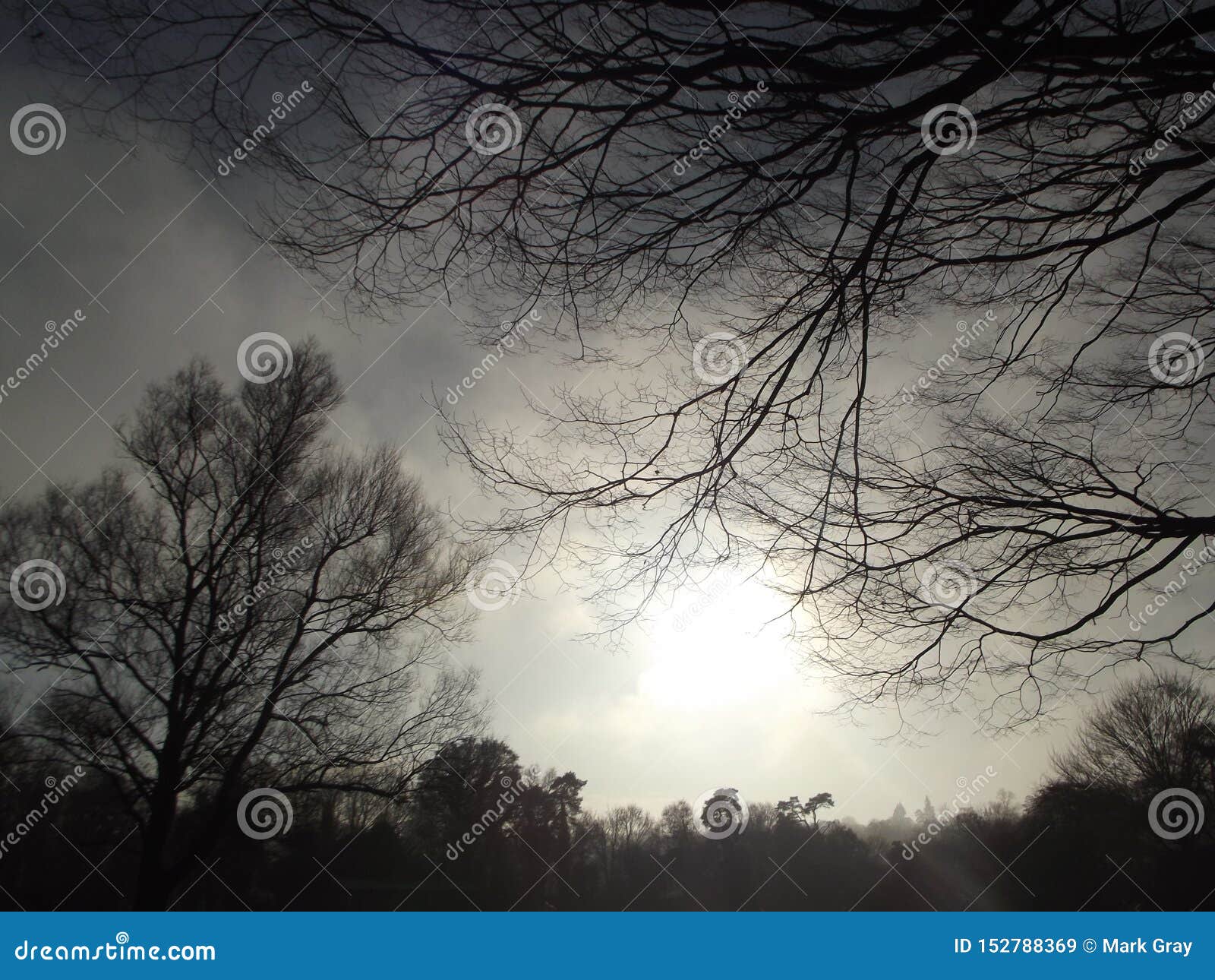 Cold and Still stock image. Image of clouds, trees, black - 152788369