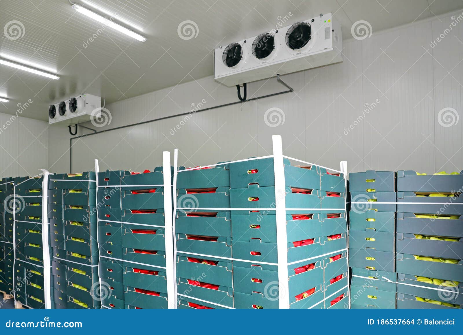 Cold Storage Boxes stock photo. Image of boxes, crates - 186537664