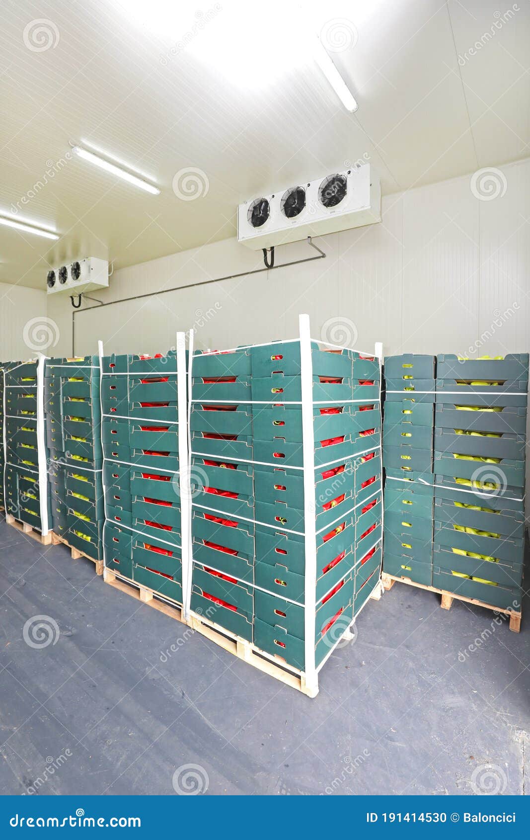 Cold Storage Pallets stock photo. Image of produce, fruits - 191414530