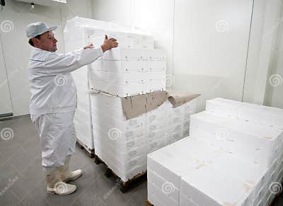 Cold storage worker stock image. Image of white, piling - 16485109