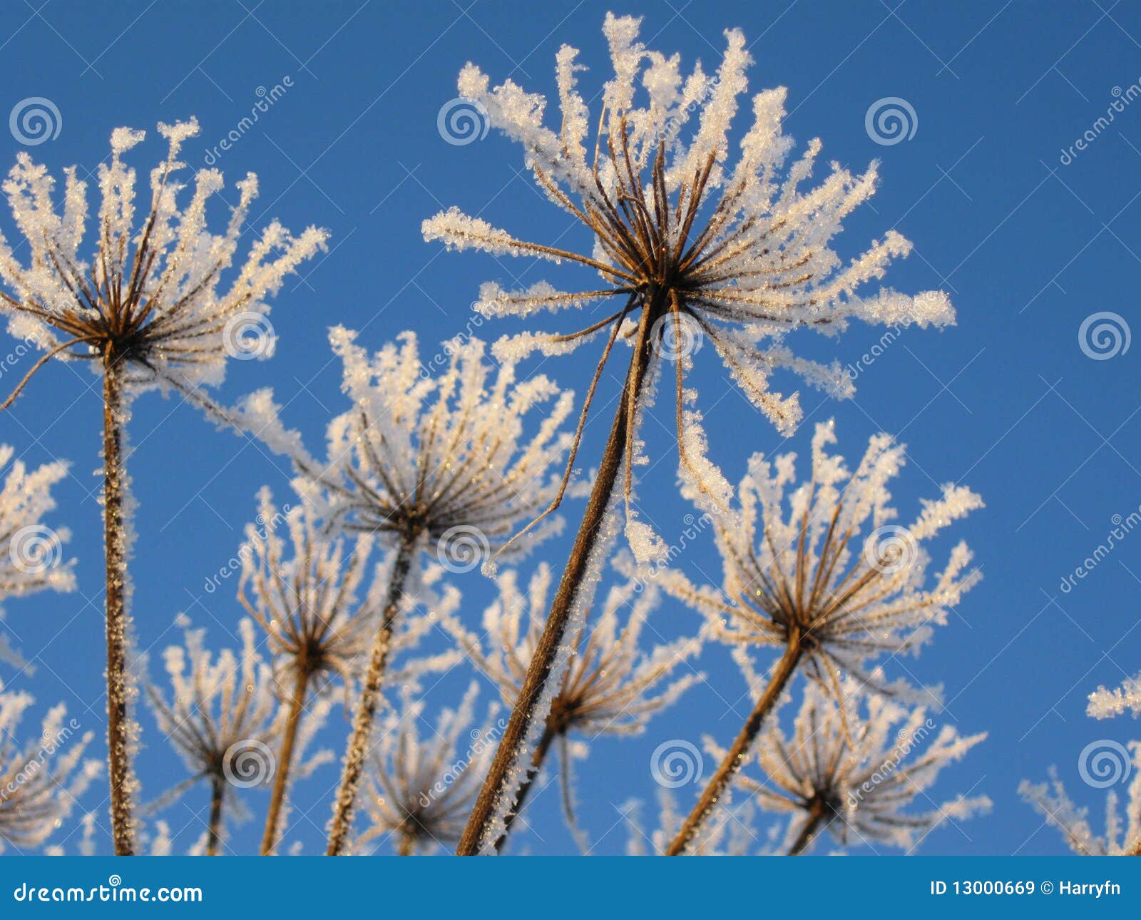 Cold streak stock image. Image of blue, weather, cold - 13000669