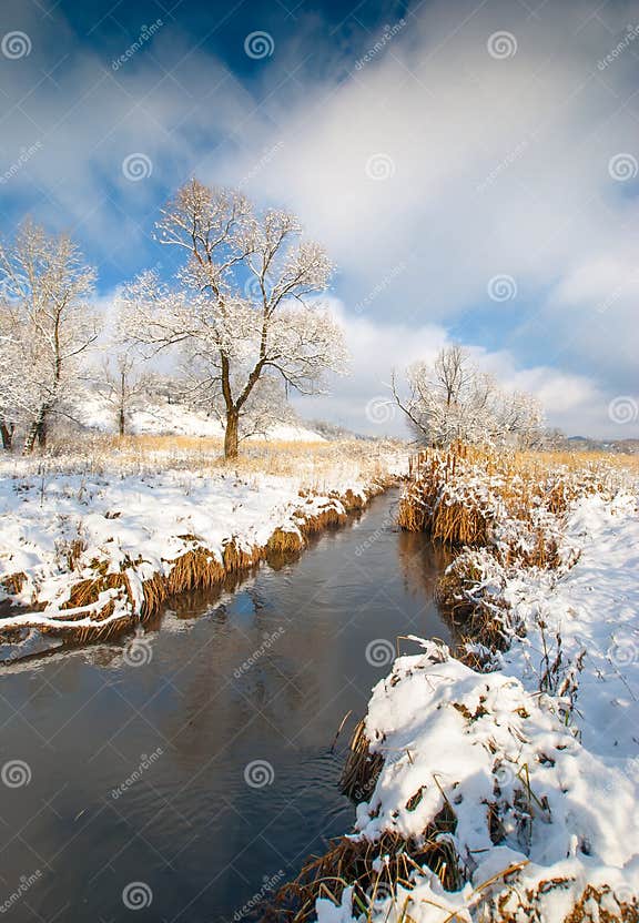 Cold stream stock image. Image of stream, hillside, outdoor - 49858167