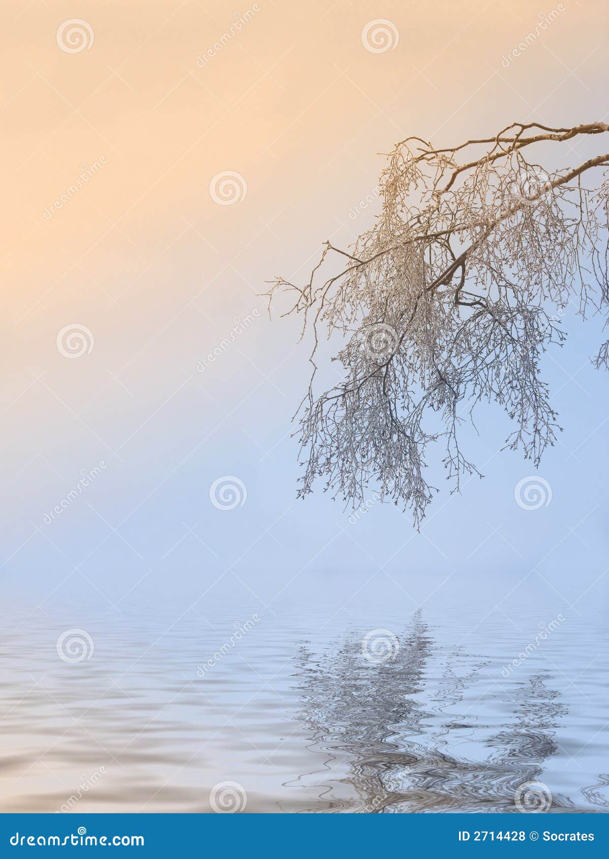 Cold sunrise stock photo. Image of pure, sunset, dawning - 2714428