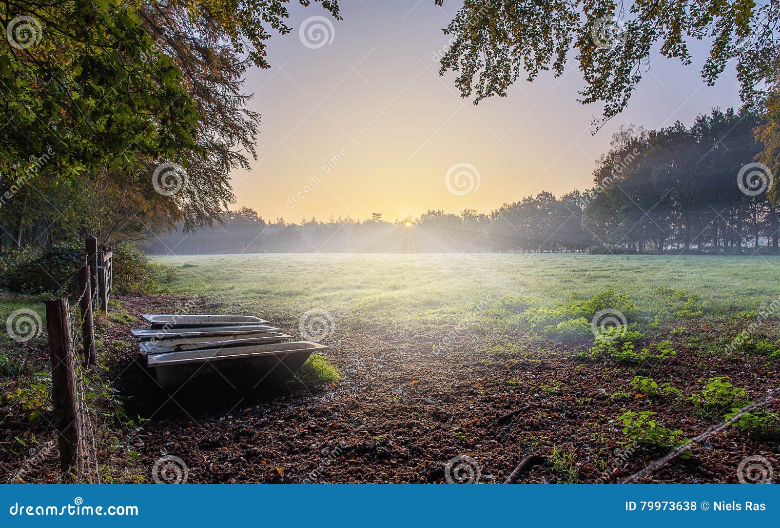 Cold Sunrise stock photo. Image of gold, cold, summer - 79973638