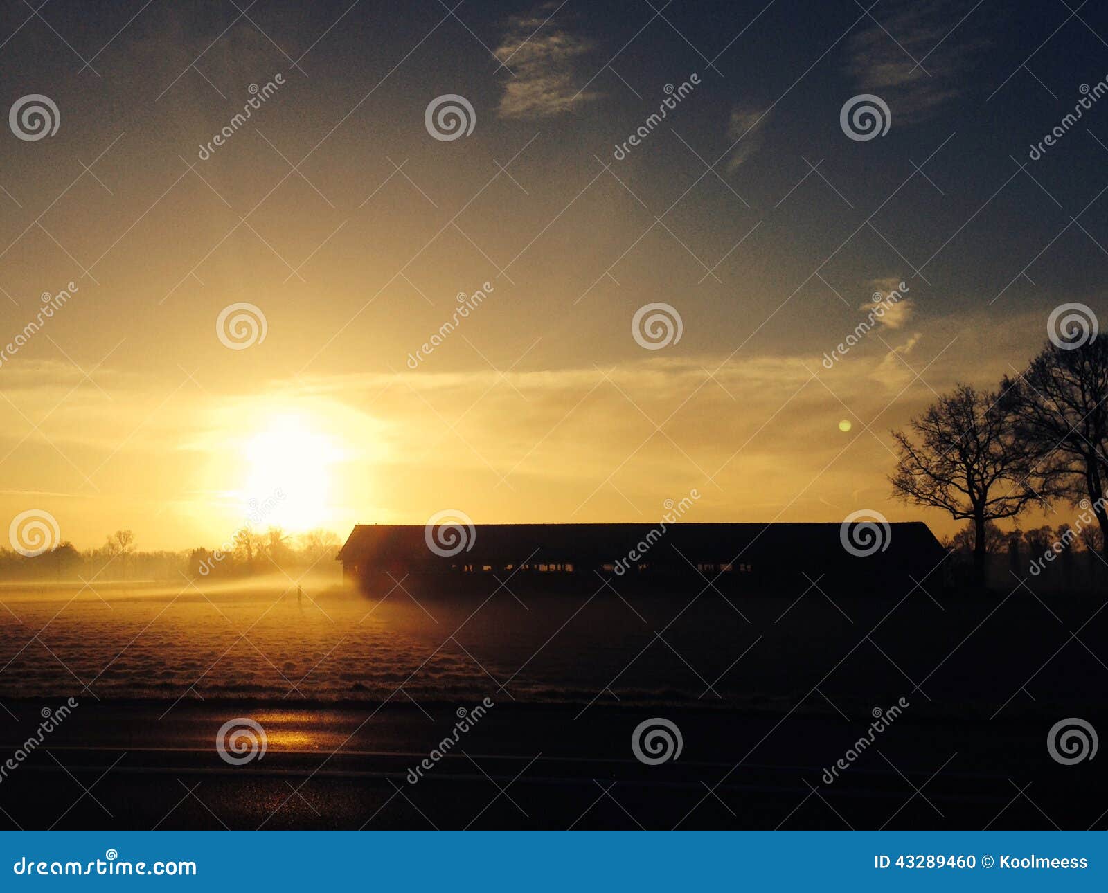 Cold Sunrise, the Netherlands Editorial Image - Image of snow ...