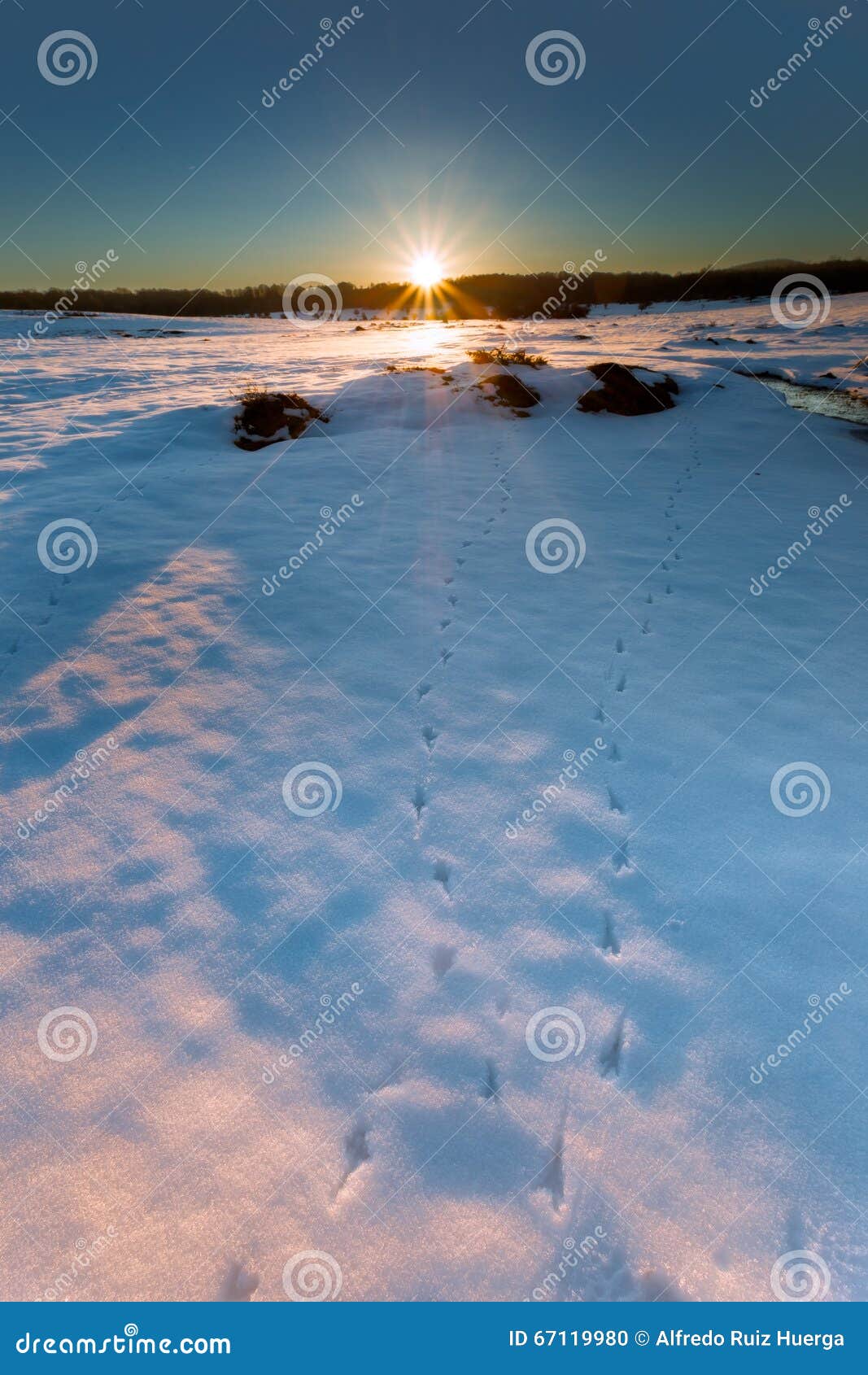 Cold Sunrise stock photo. Image of print, frozen, sunrise - 67119980