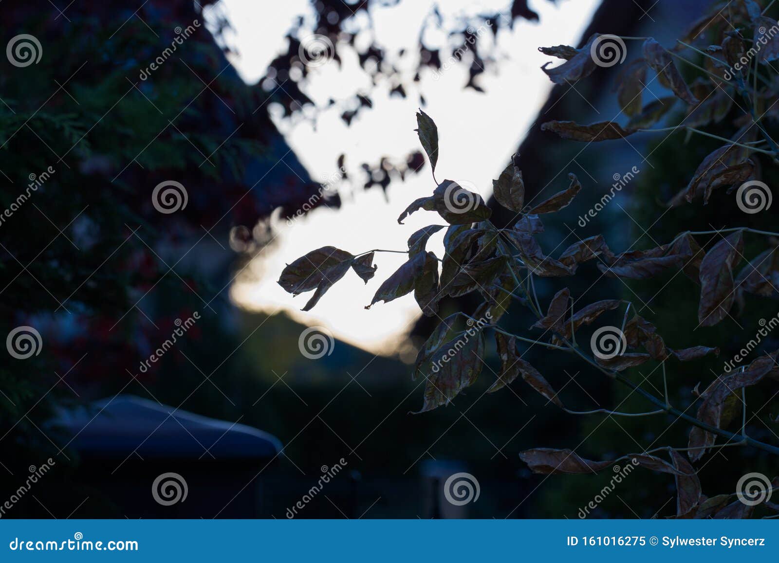 Cold sunset view stock image. Image of autumn, view - 161016275