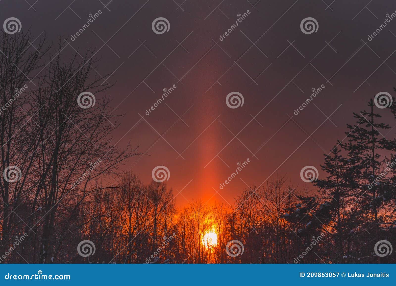 Cold Sunset in Winter Forest with Sun Light Pillar Stock Image - Image ...